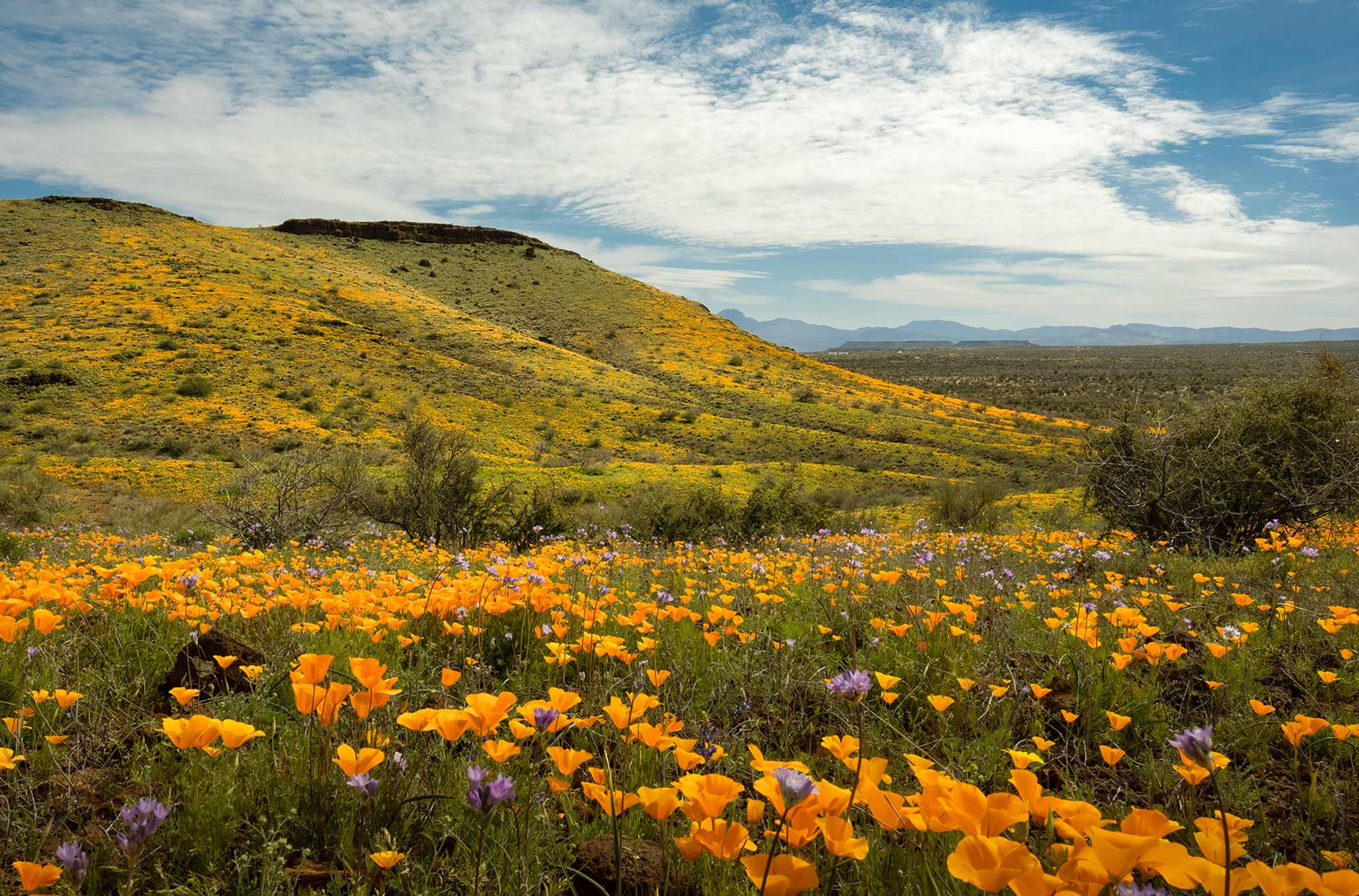 Peridot Slope - Rob Strain Fine Art Photography & Workshops