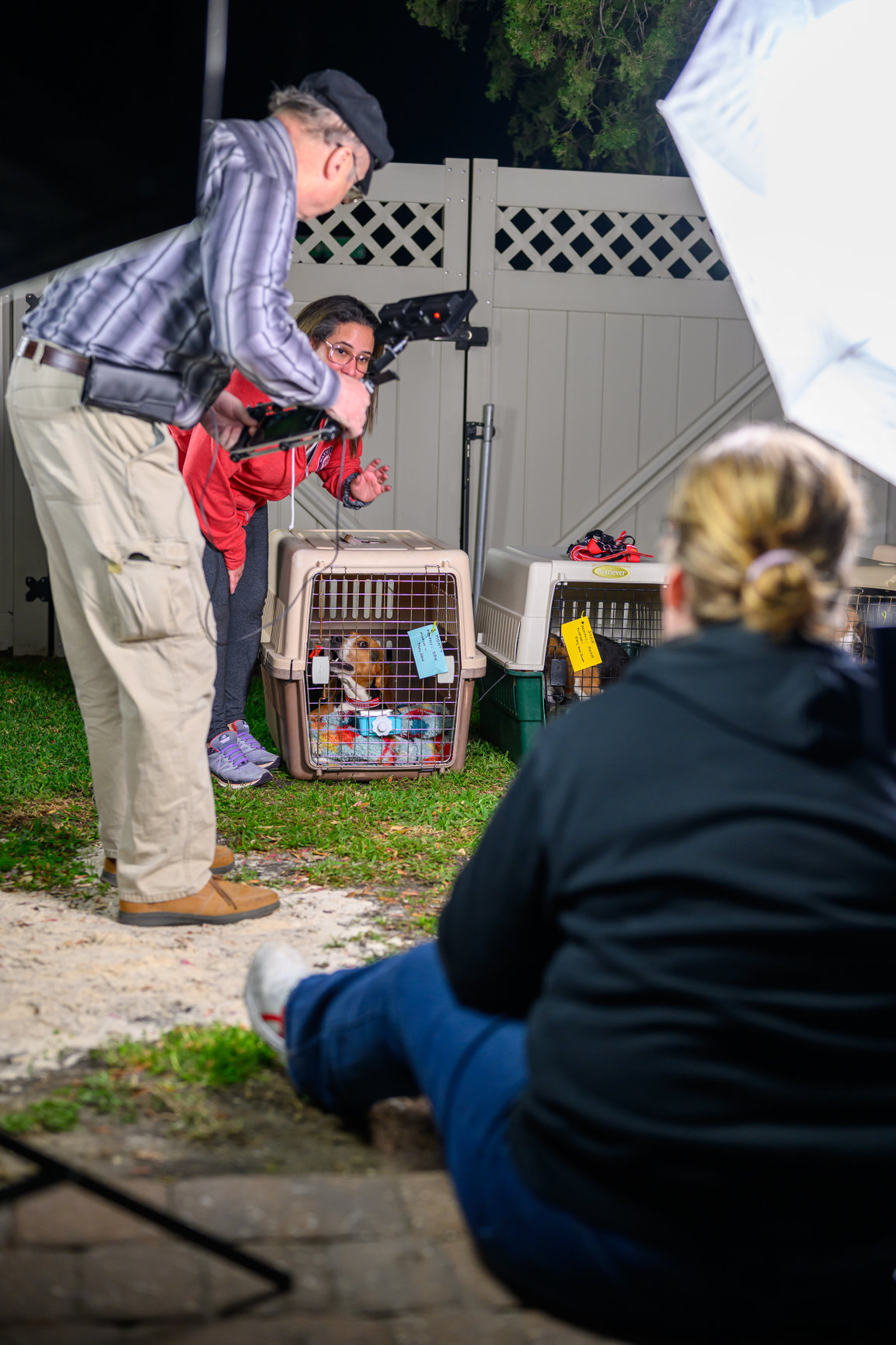 Beagle Freedom Project | Nighttime Photoshoot of Rescued Beagles' First ...