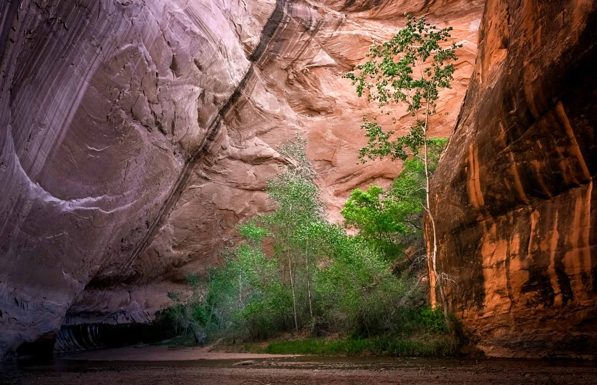 Hiking with Bill - Rob Strain