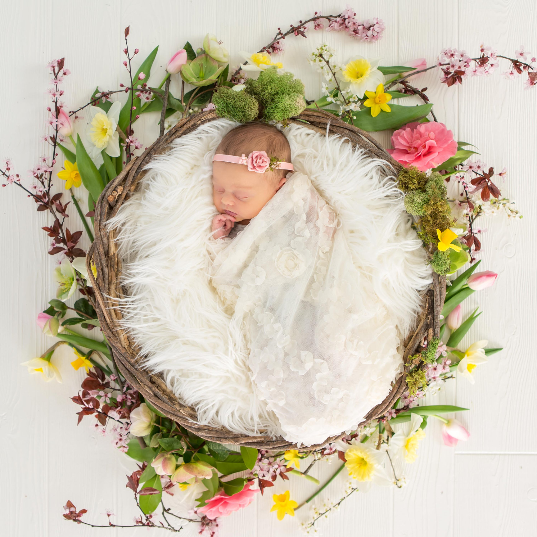 Spring In Studio - Nicole Soper Photography