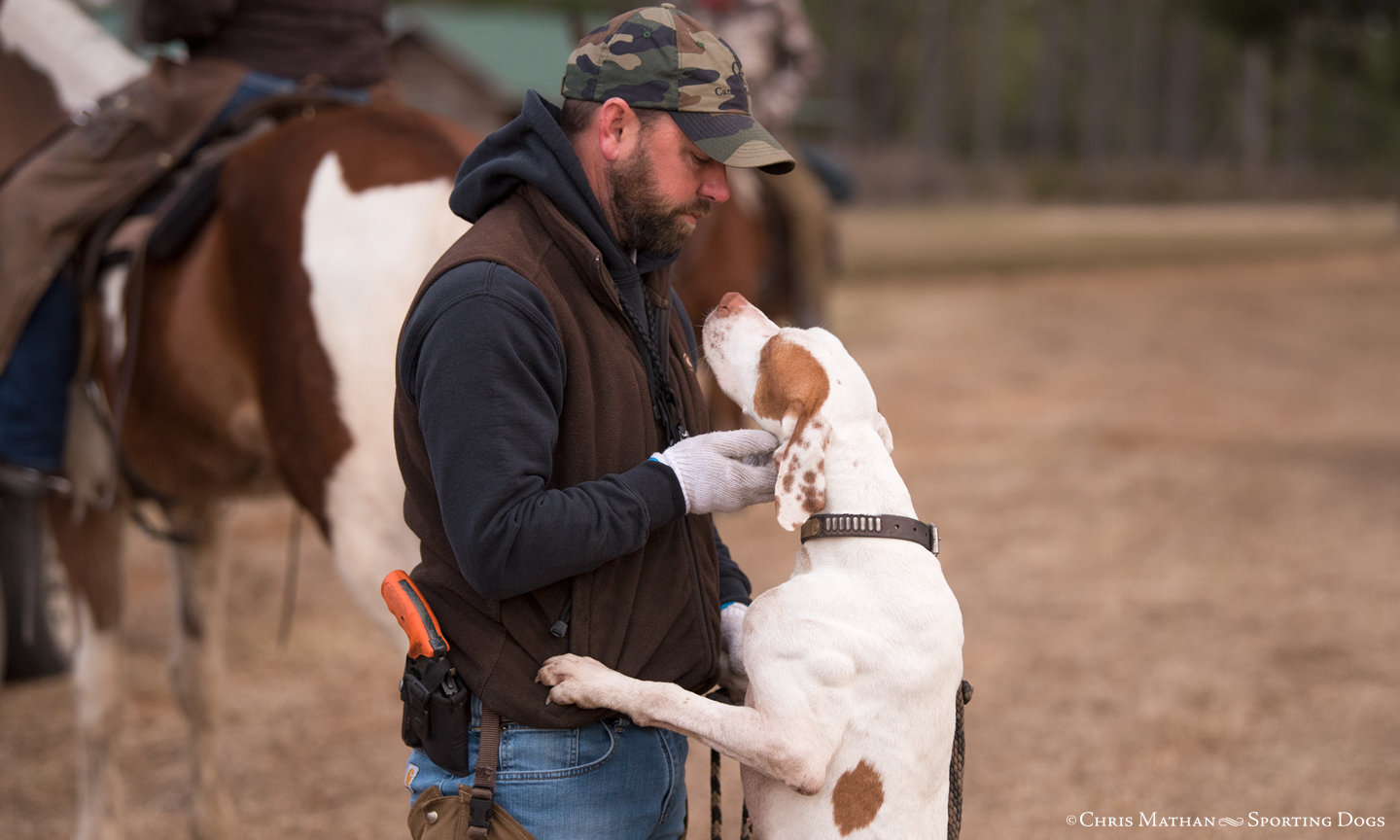 Field Trials - Chris Mathan Sporting Dogs