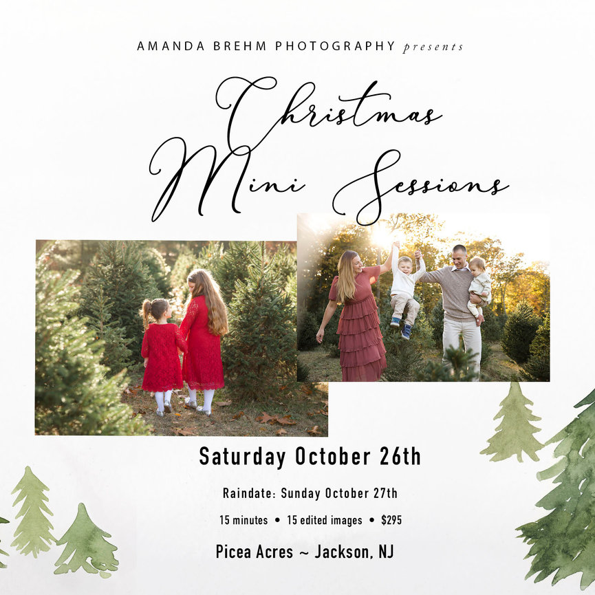 Tree Farm Minis - Amanda Brehm Photography