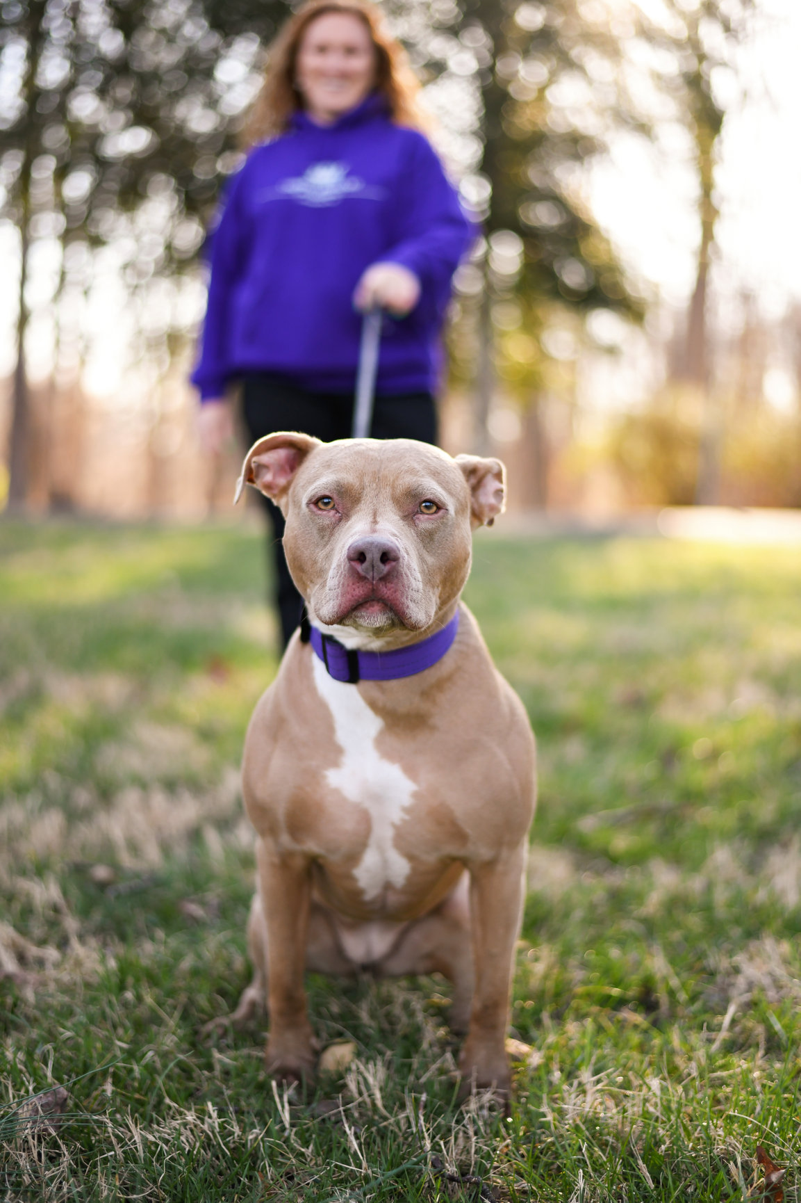 How Dog Training Improves Daily Life—and Makes Your Next Family Photo ...