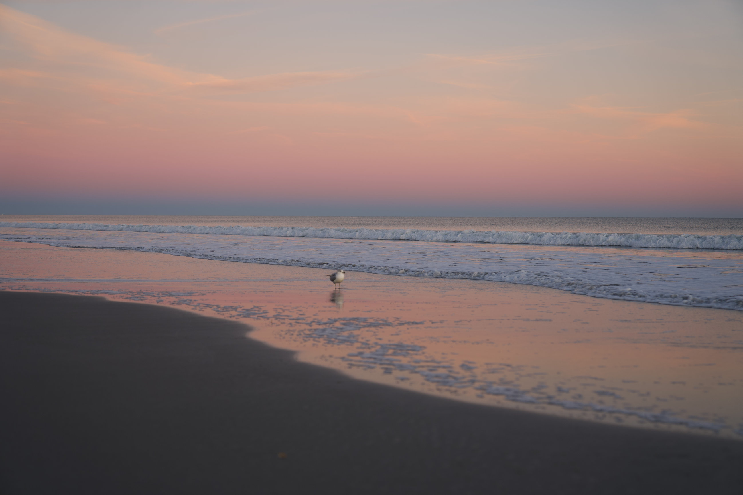 HOME - Sunset Snaps Photography