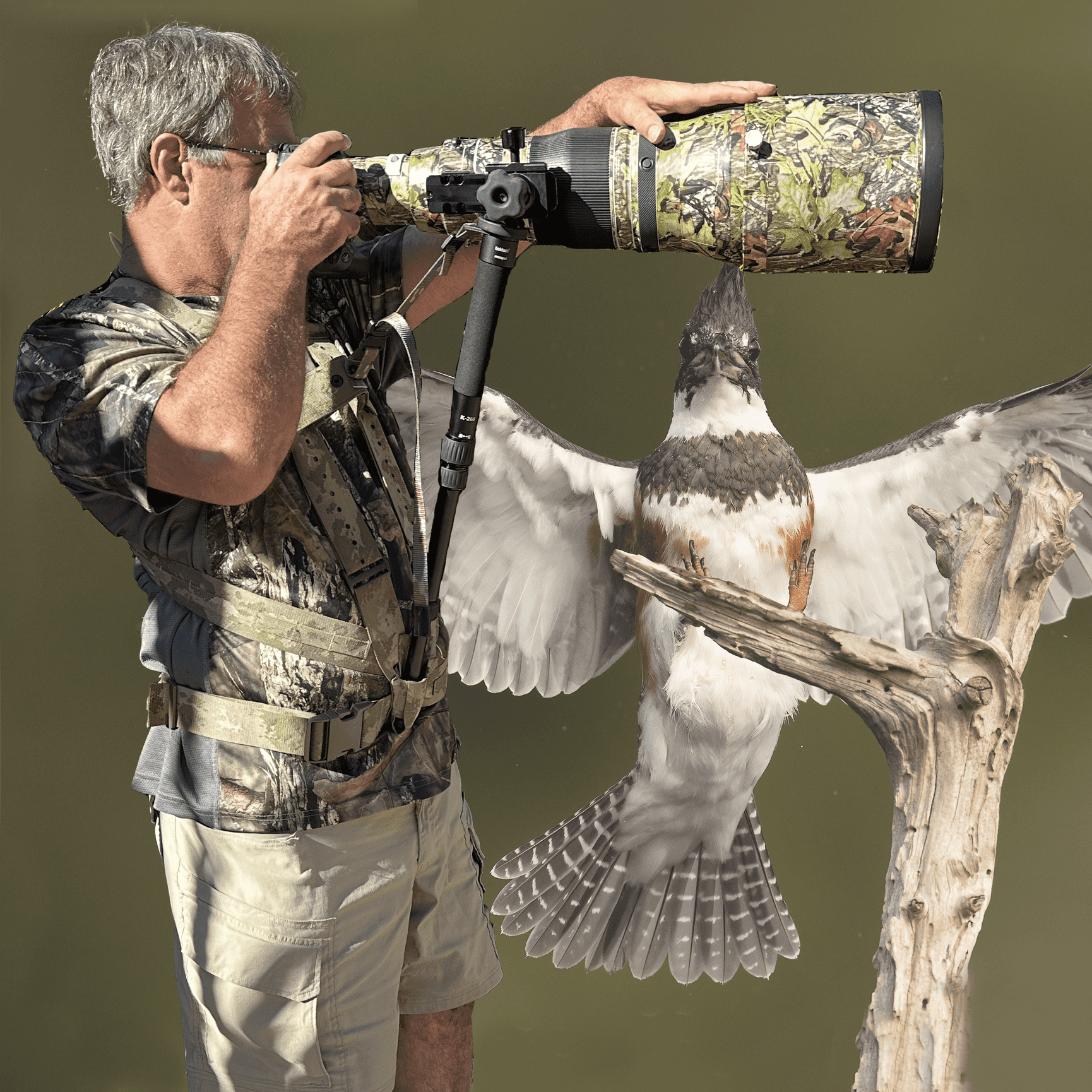 Video Instructions | Whistling Wings Photography Sebastian FL