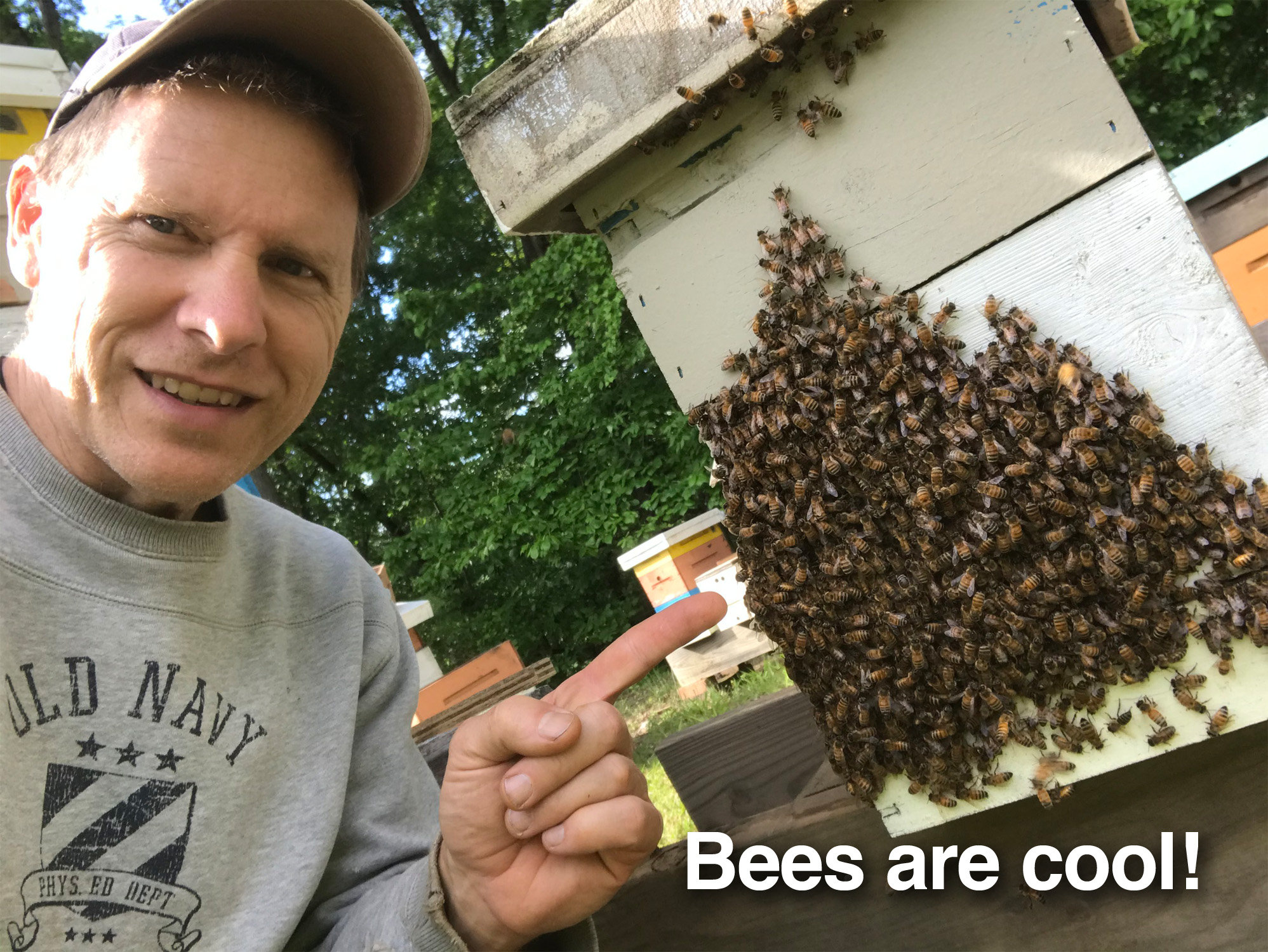 Enjoy Beekeeping: Natural, Fun Bee School & Sustainability