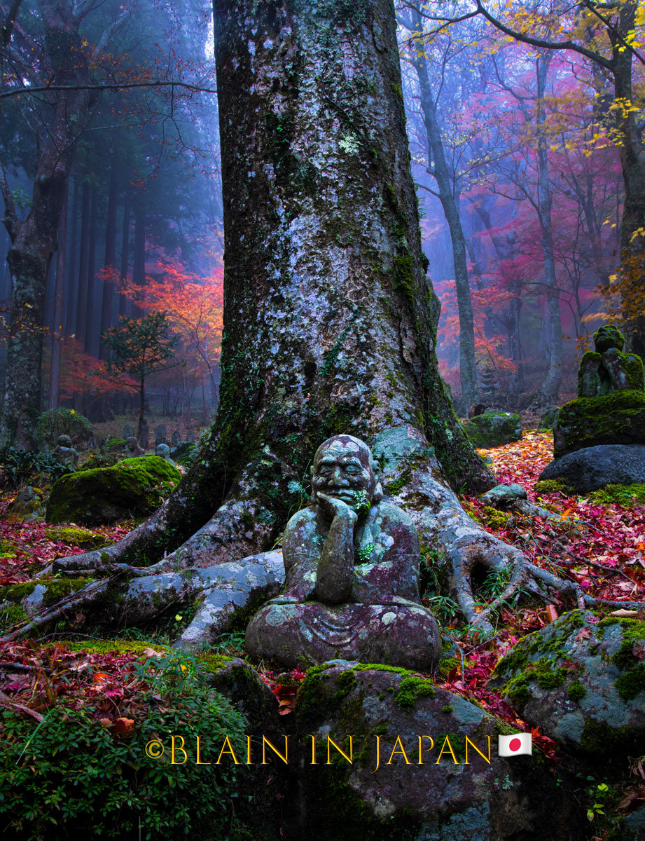 Ancient Japanese cemeteries (墓, ohaka) - Japan Photo Tour Power Spots ...