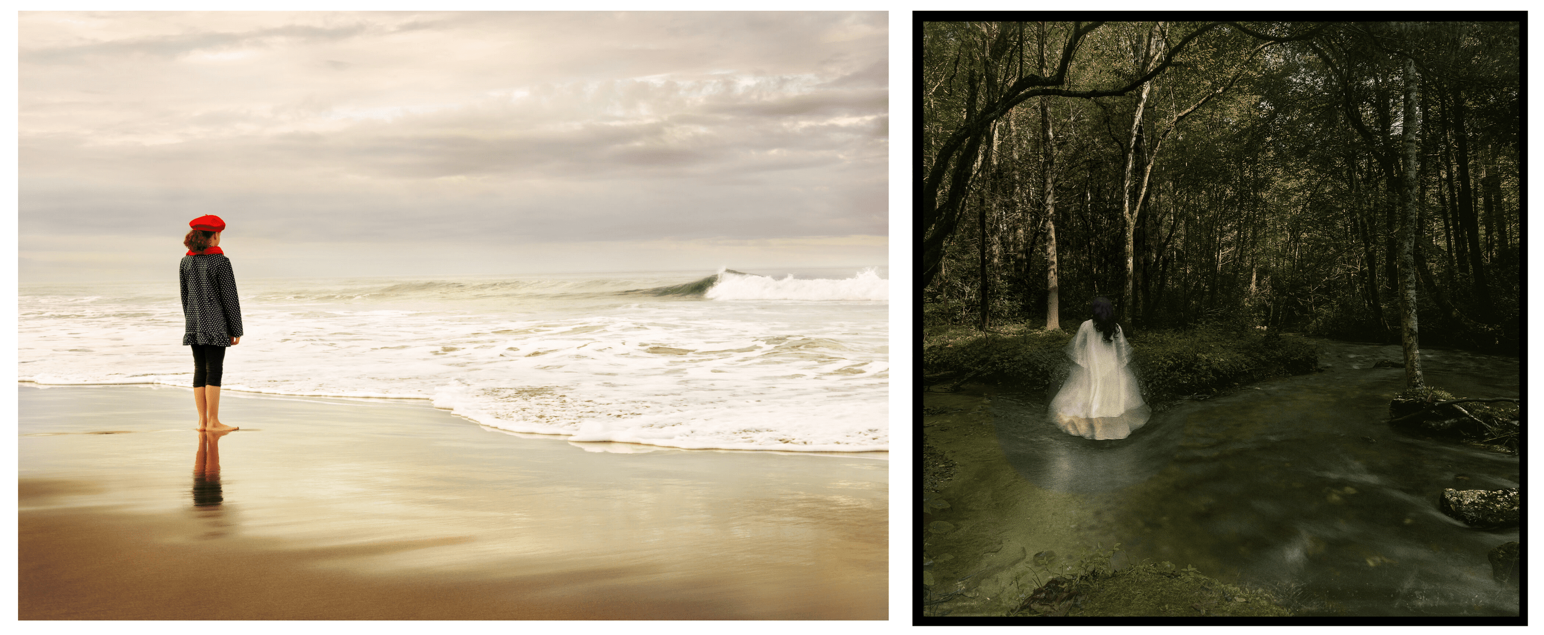 Toni Lovejoy, North Carolina Photographer - The Grove