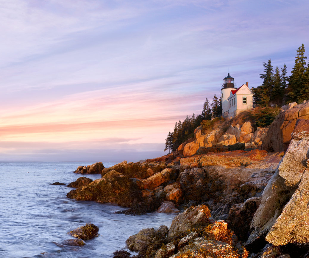 CONTACT - vincent gaudio