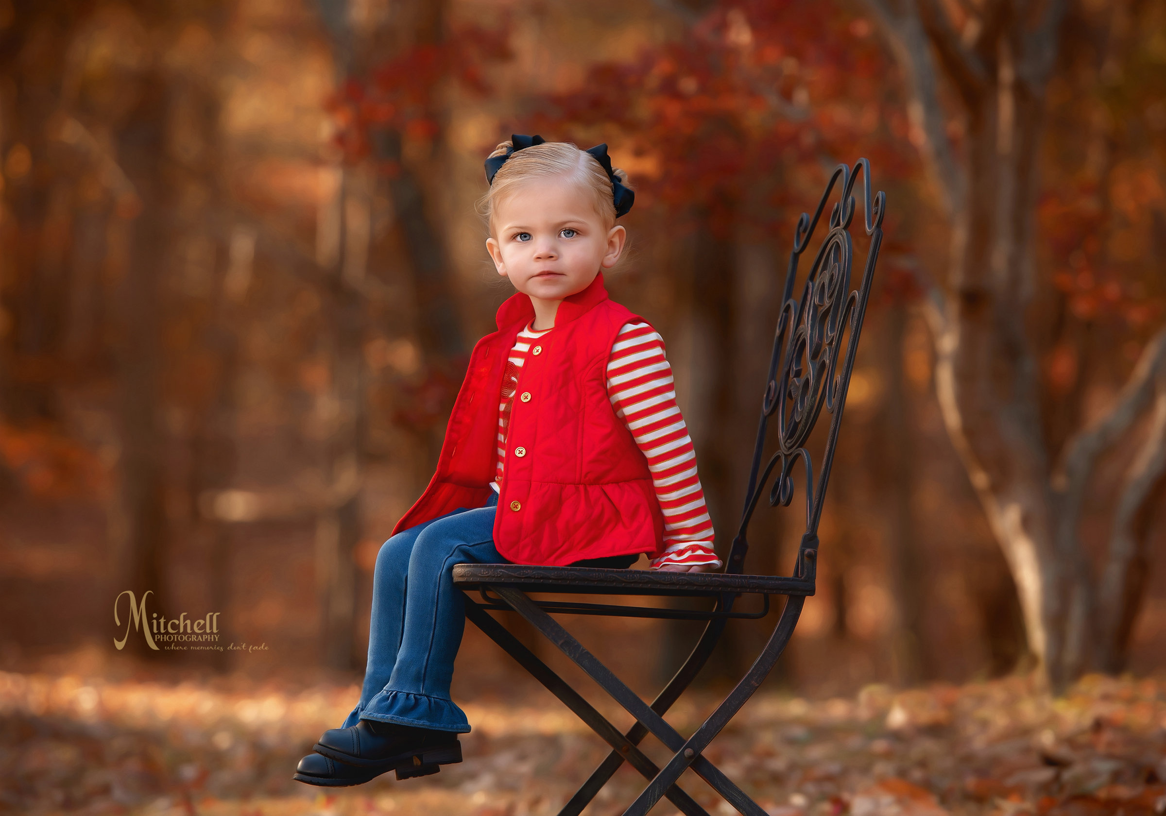 home - Mitchell Photography