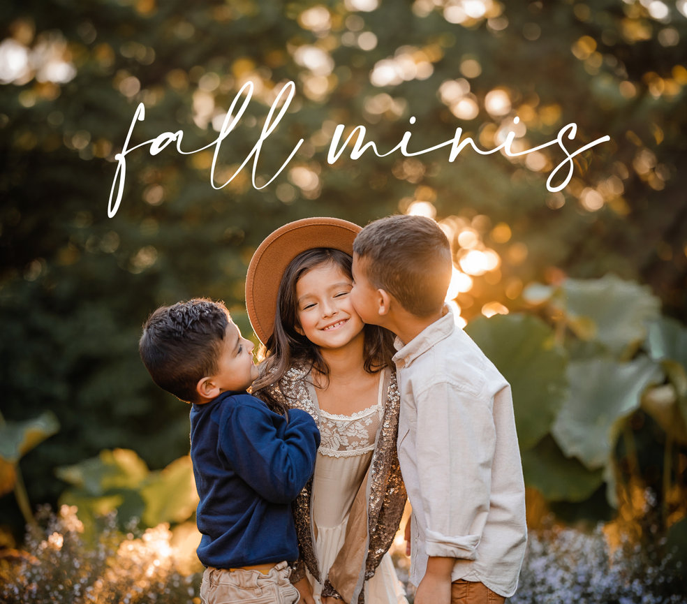 FALL MINIS 2023 - Elan Studio
