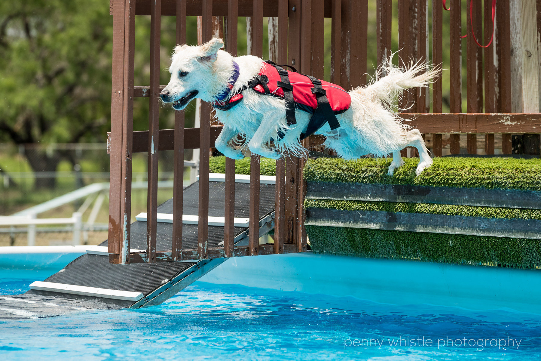 Dock Diving Is A Fun Way To Beat The Heat Of Summer In Dallas