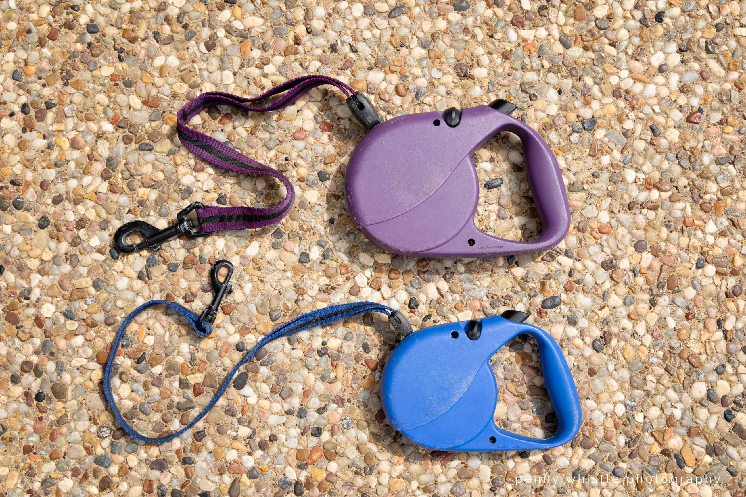 5 Reasons To Not Walk Your Dog With A Retractable Leash 5 Reasons To Not Walk Your Dog With A Retractable Leash