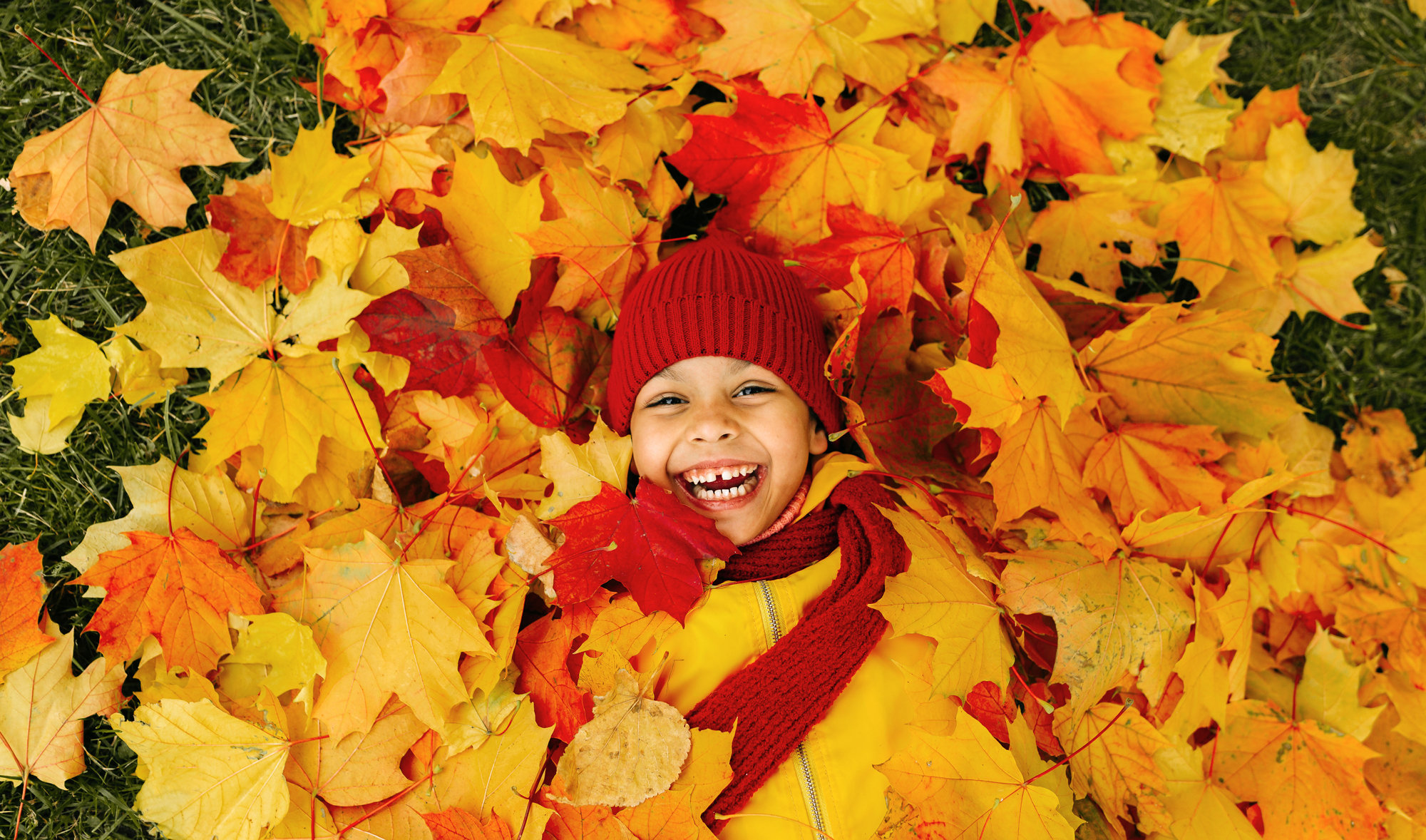3 Fall Photography Mini Session Ideas - PhotoBiz Growth Hub