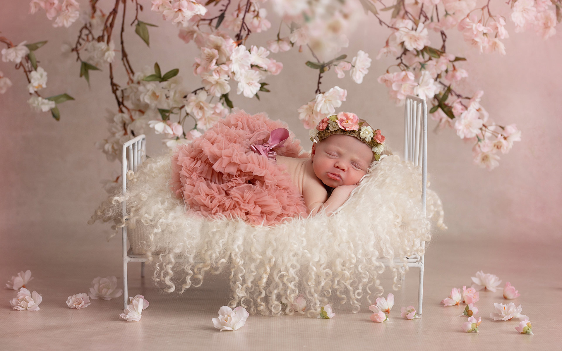Dream Reality Photography Maternity, Newborn, Family | Jackson NJ