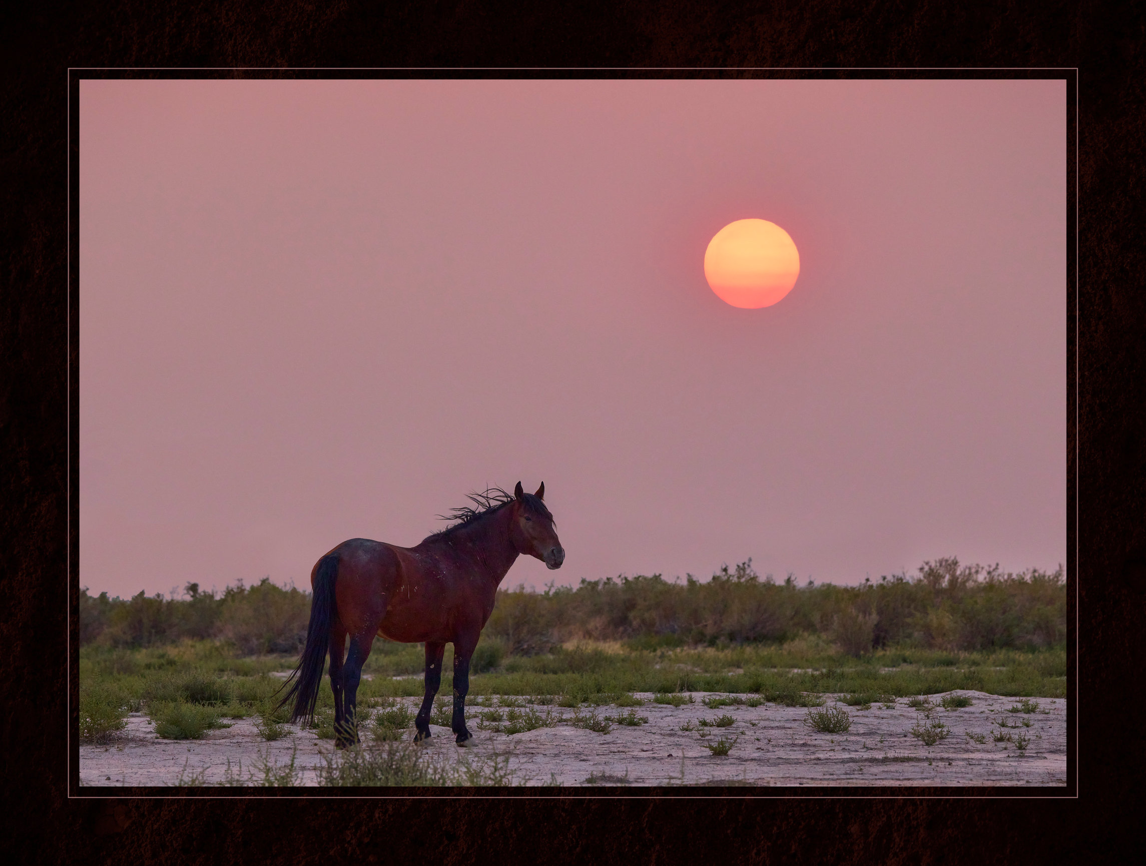 Previsualization - Ted York Photography