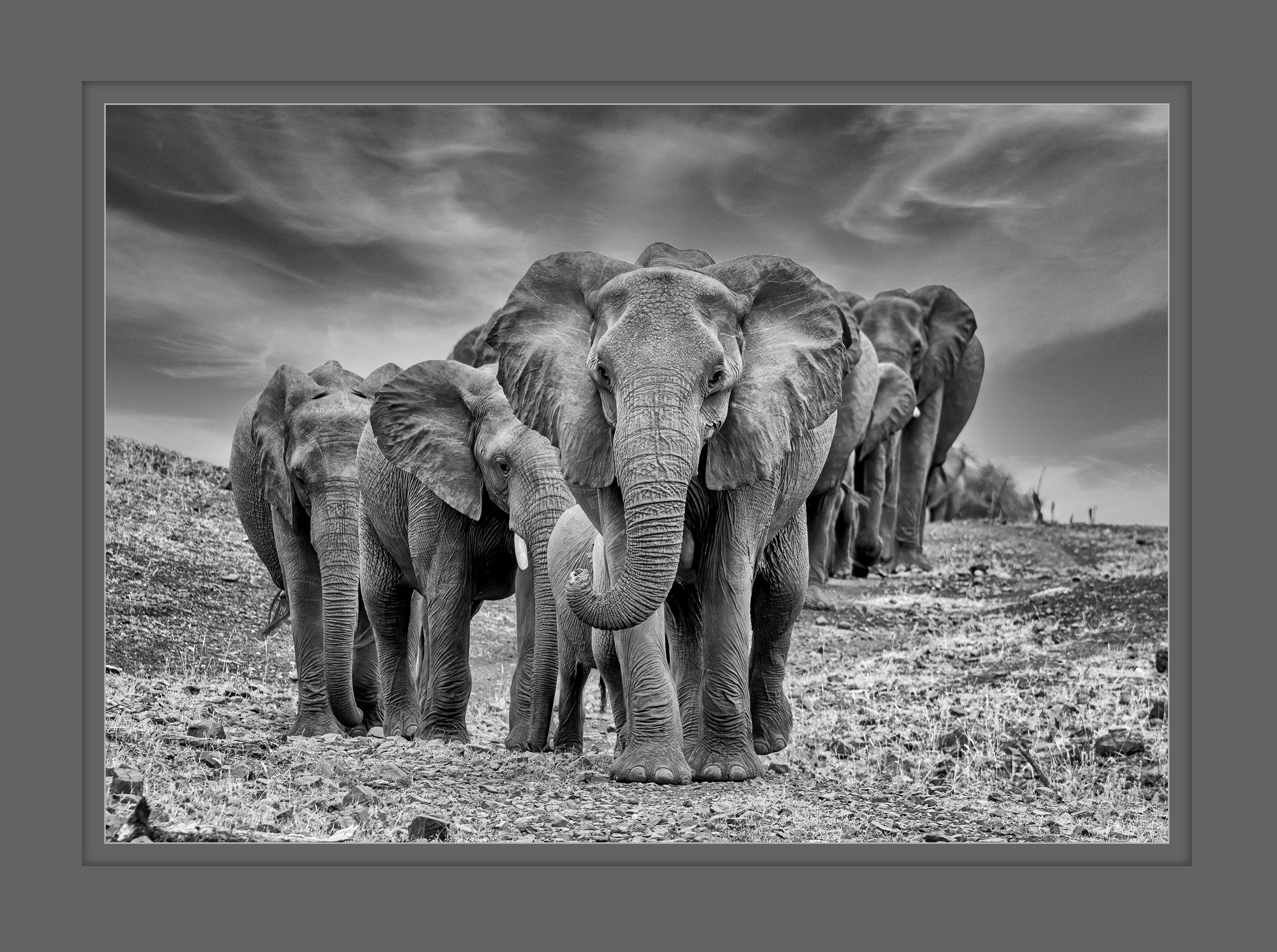 AWARD WINNING AND PUBLISHED IMAGES - Chapelo Photography
