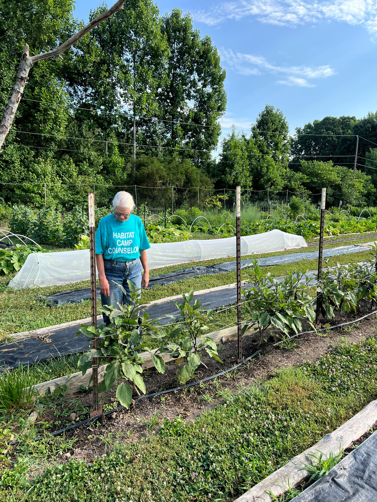 Local Vendor Profiles - Deep Roots Market - Greensboro's Local Co-op ...