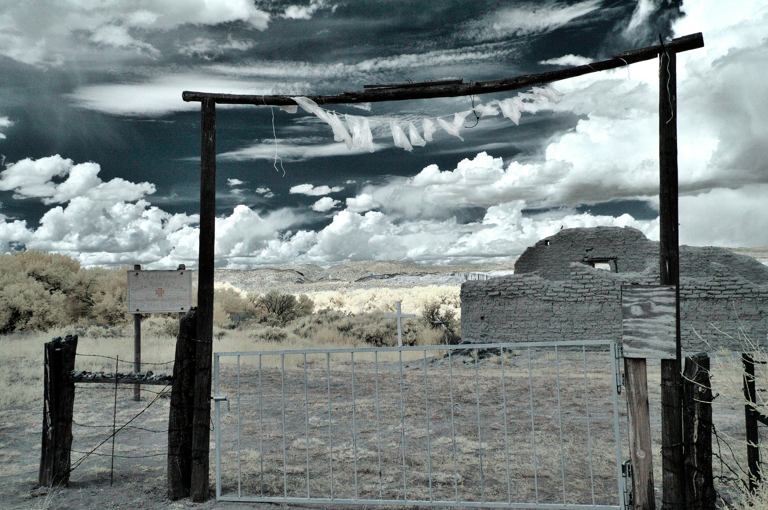 INFRARED IMAGES - Christine Breslin Photography