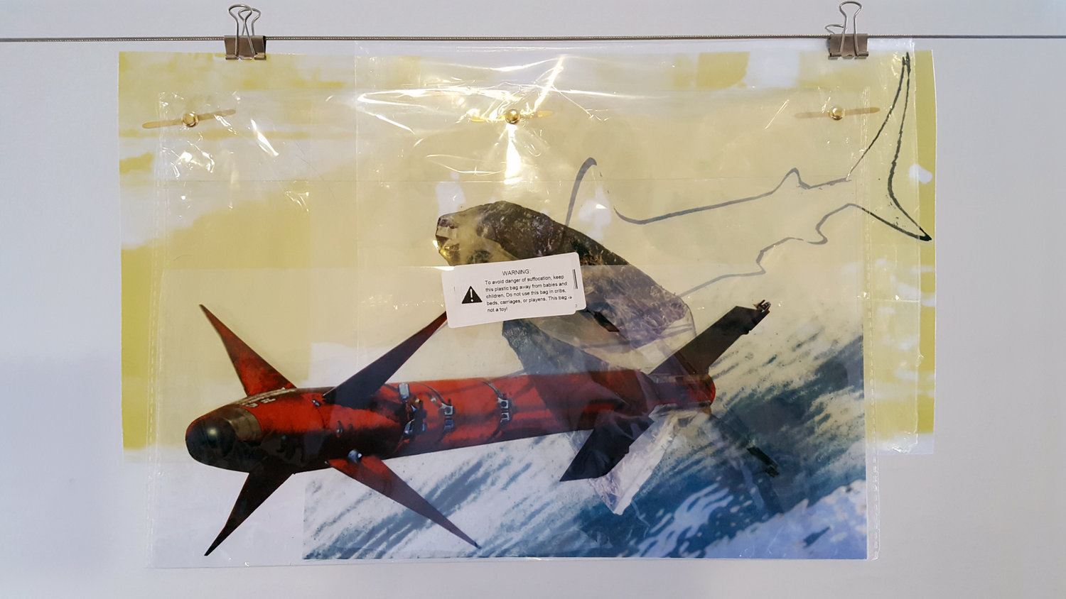 Mark Gens | Projections 2019