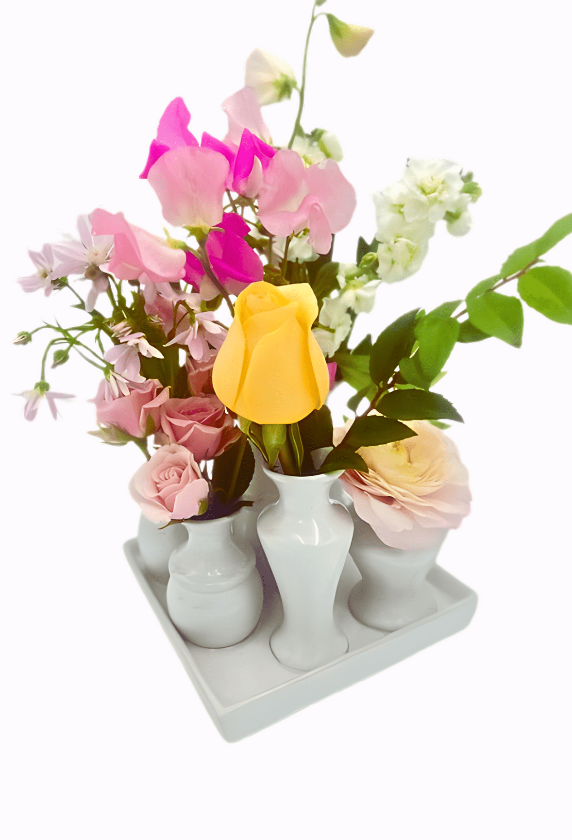 Best Buds - Charleston Flower Market