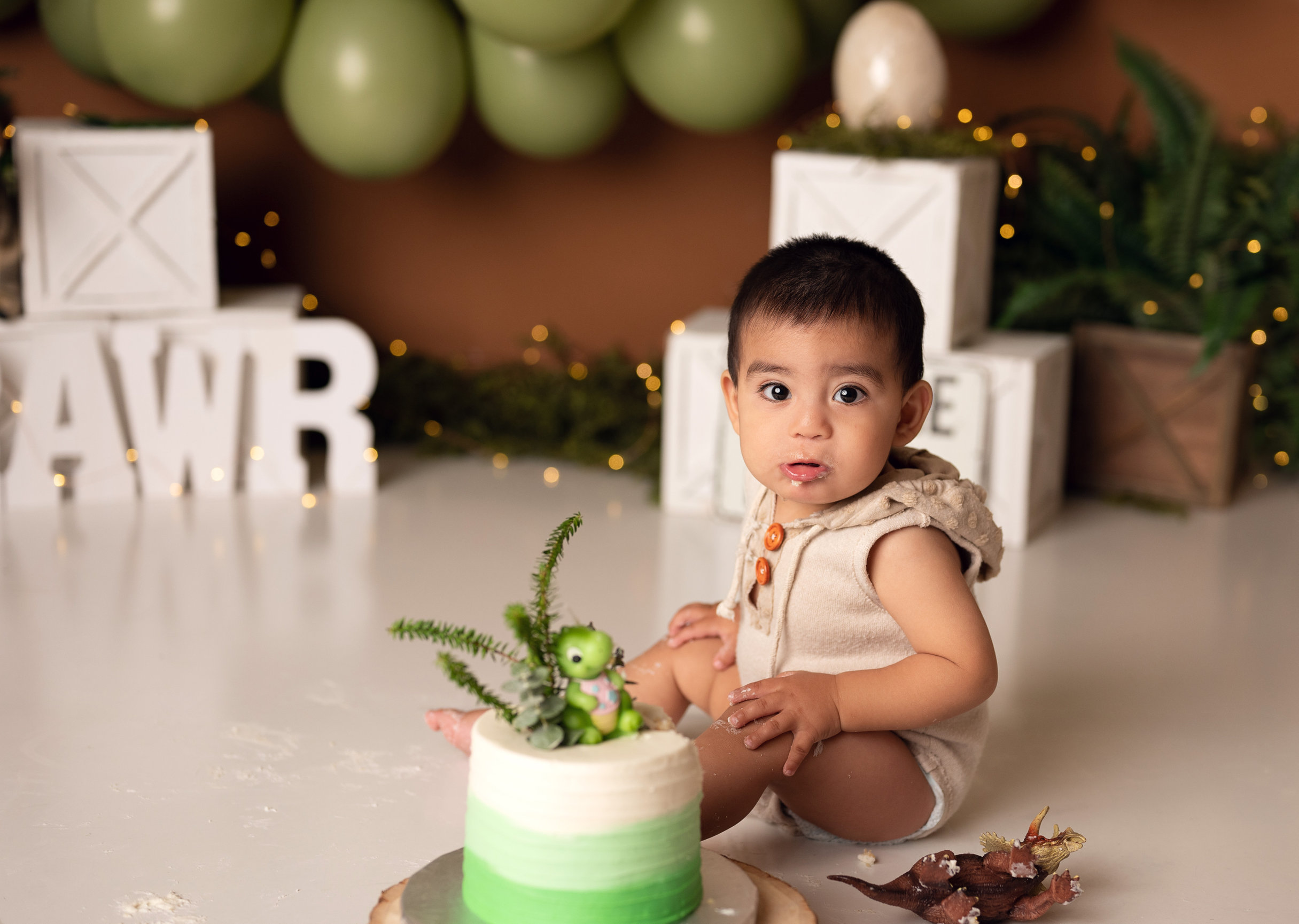 A Dino Cake Smash Session {Utah Cake Smash Photographer} - kristen ...