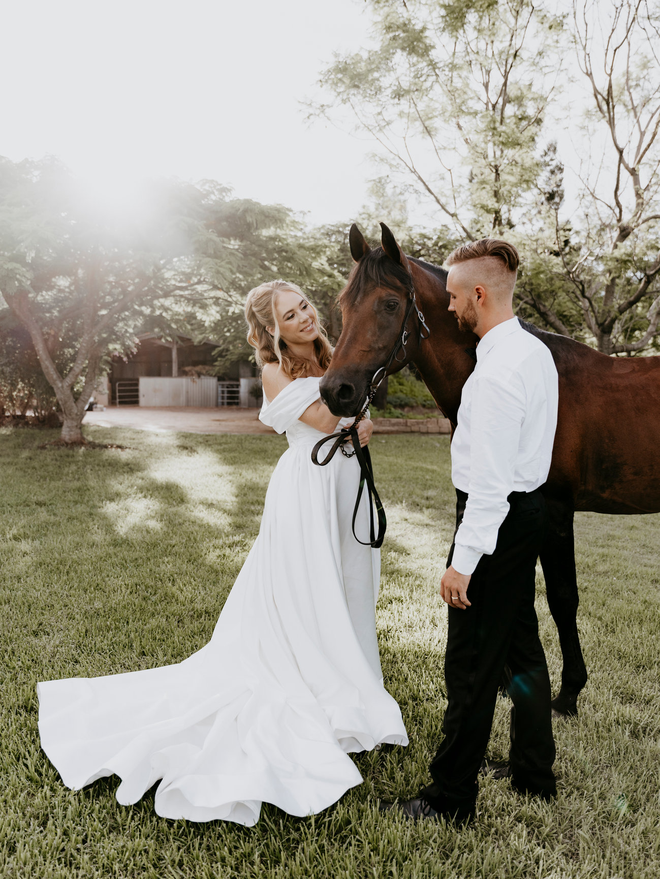 HOME - Sarah Bradford