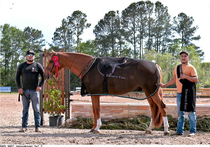 Photo Gallery - Townsend Farm