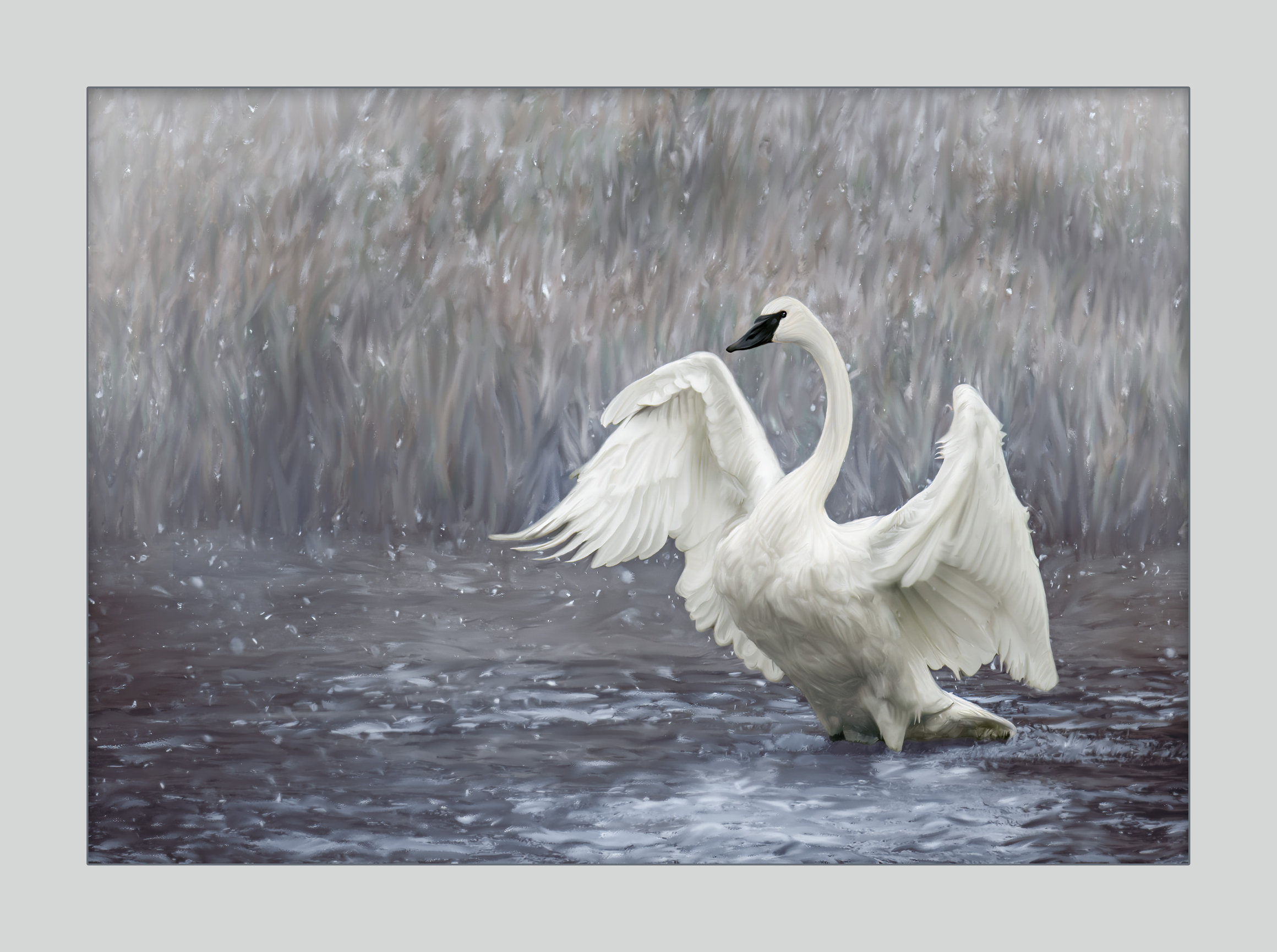 HOME - Keepsake Images