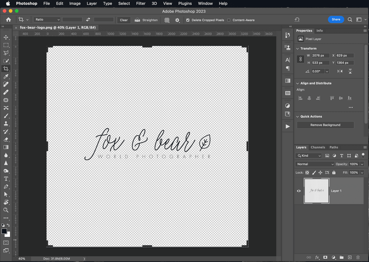 How Can I Make My Logo Larger On My Website with Adobe Photoshop ...