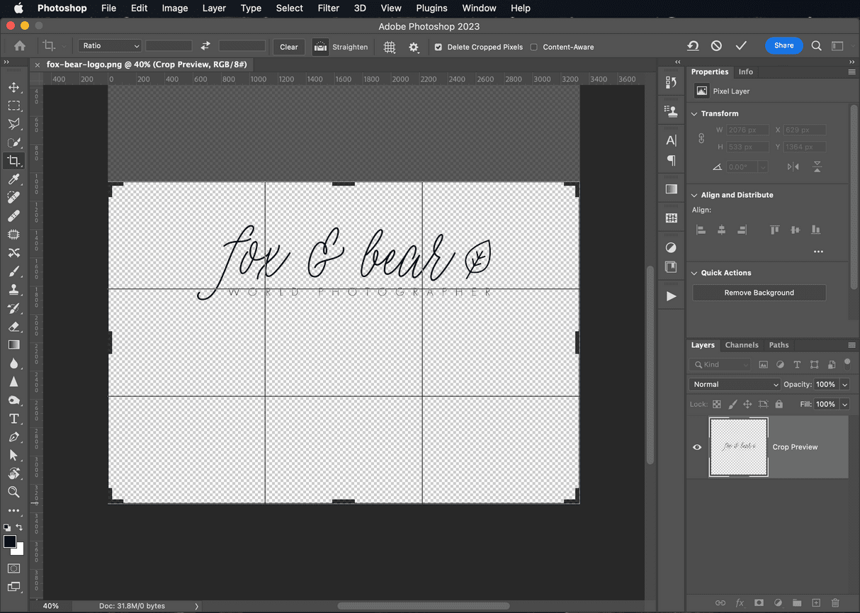 How Can I Make My Logo Larger On My Website with Adobe Photoshop ...