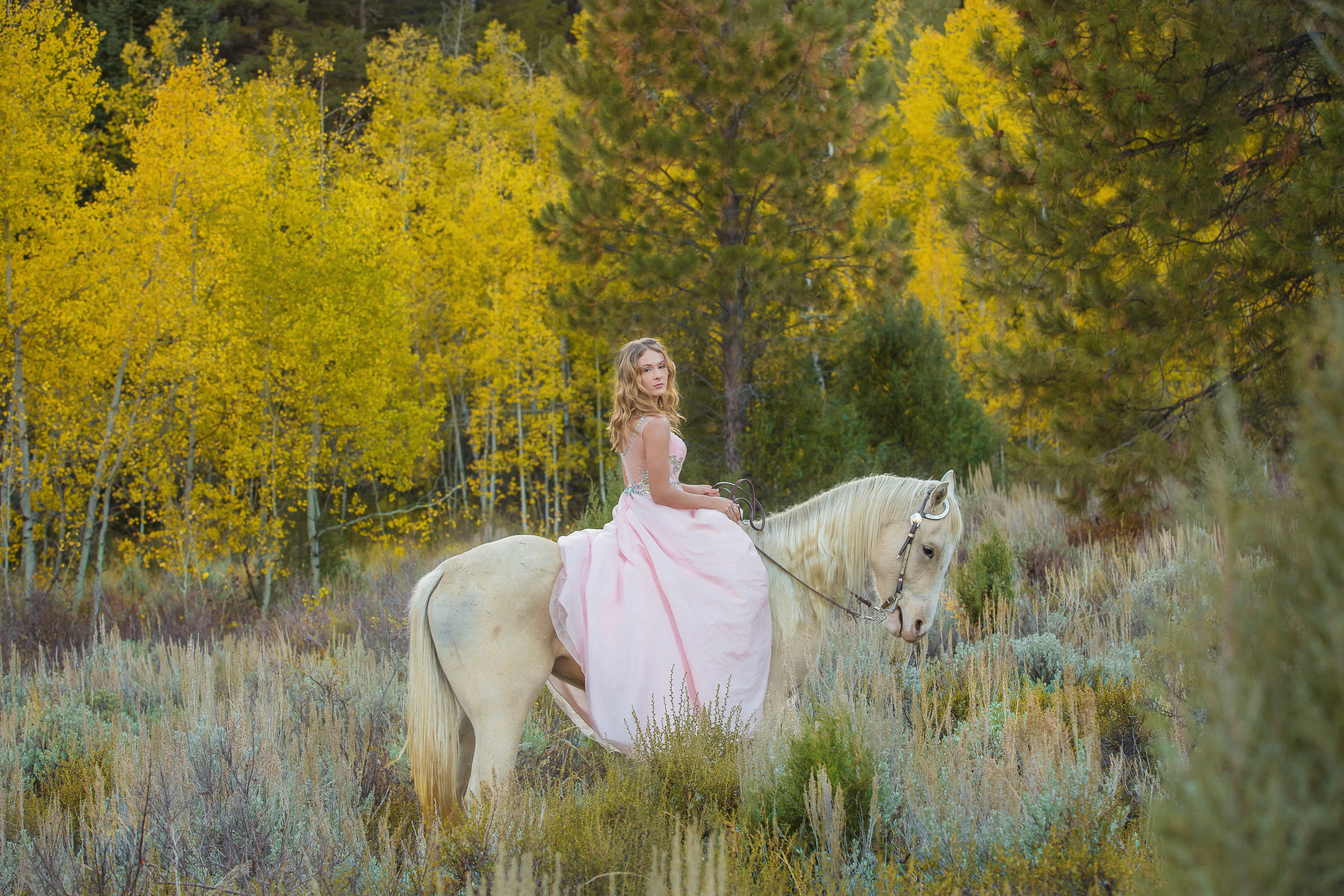 GALLERY - Kerry Horrocks Photography