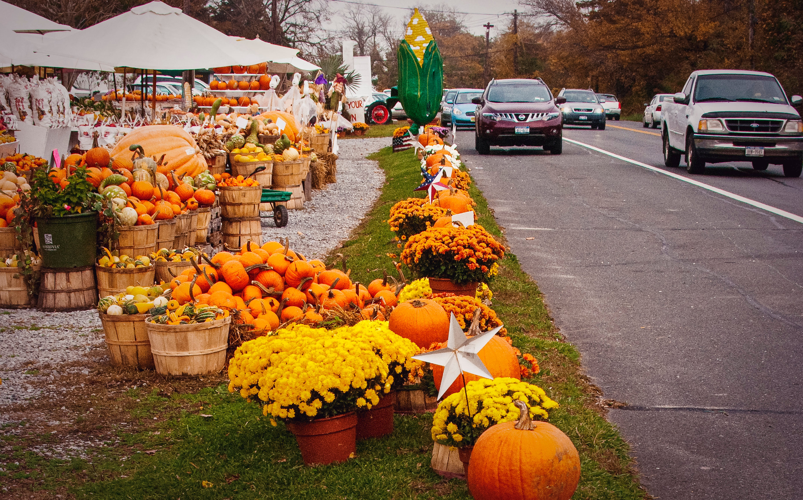 September 1! My first five thoughts…. - Picture Lady Photography, LLC