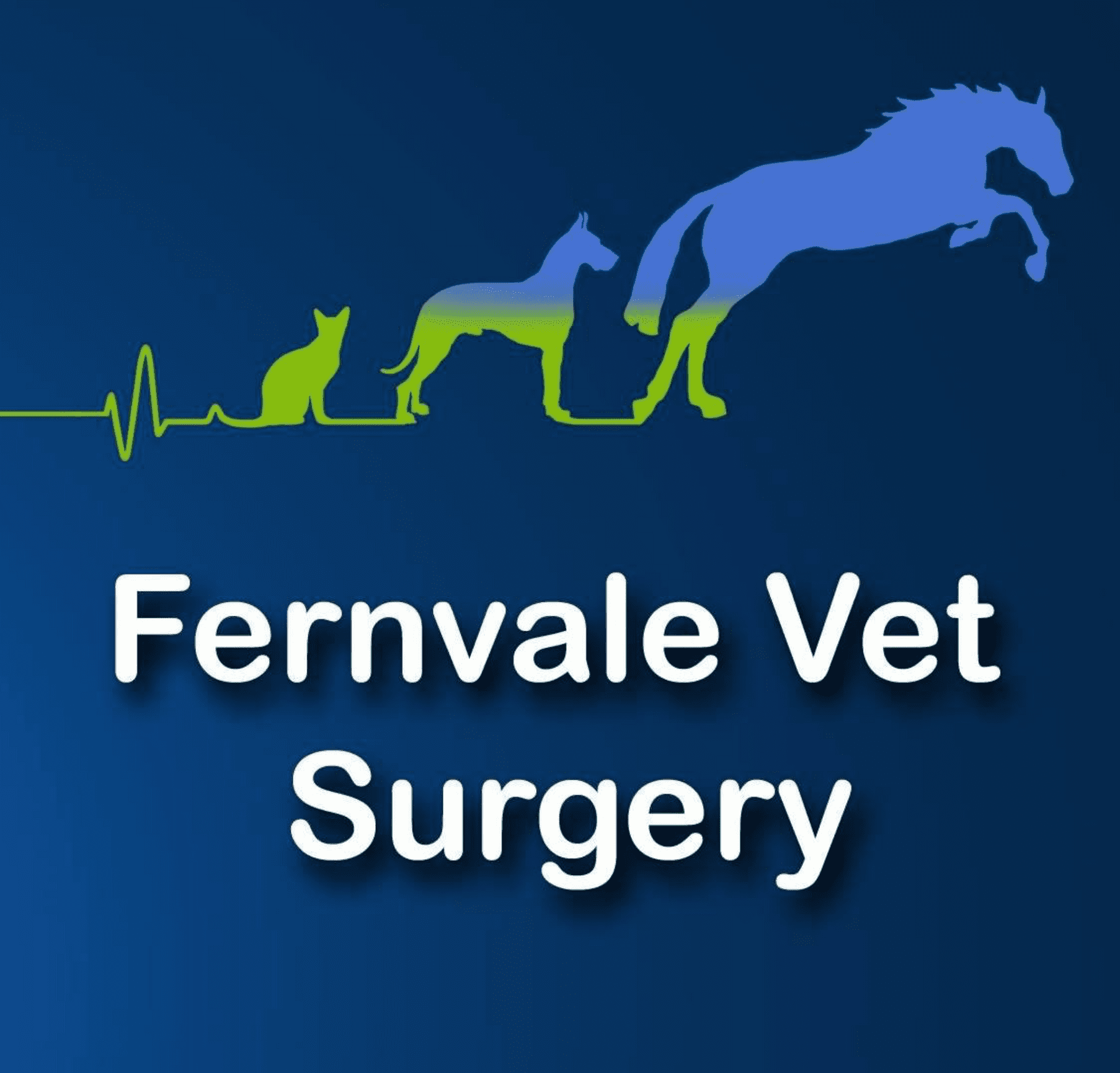 K n J Photography: Familes, Pets, Maternity & Newborns