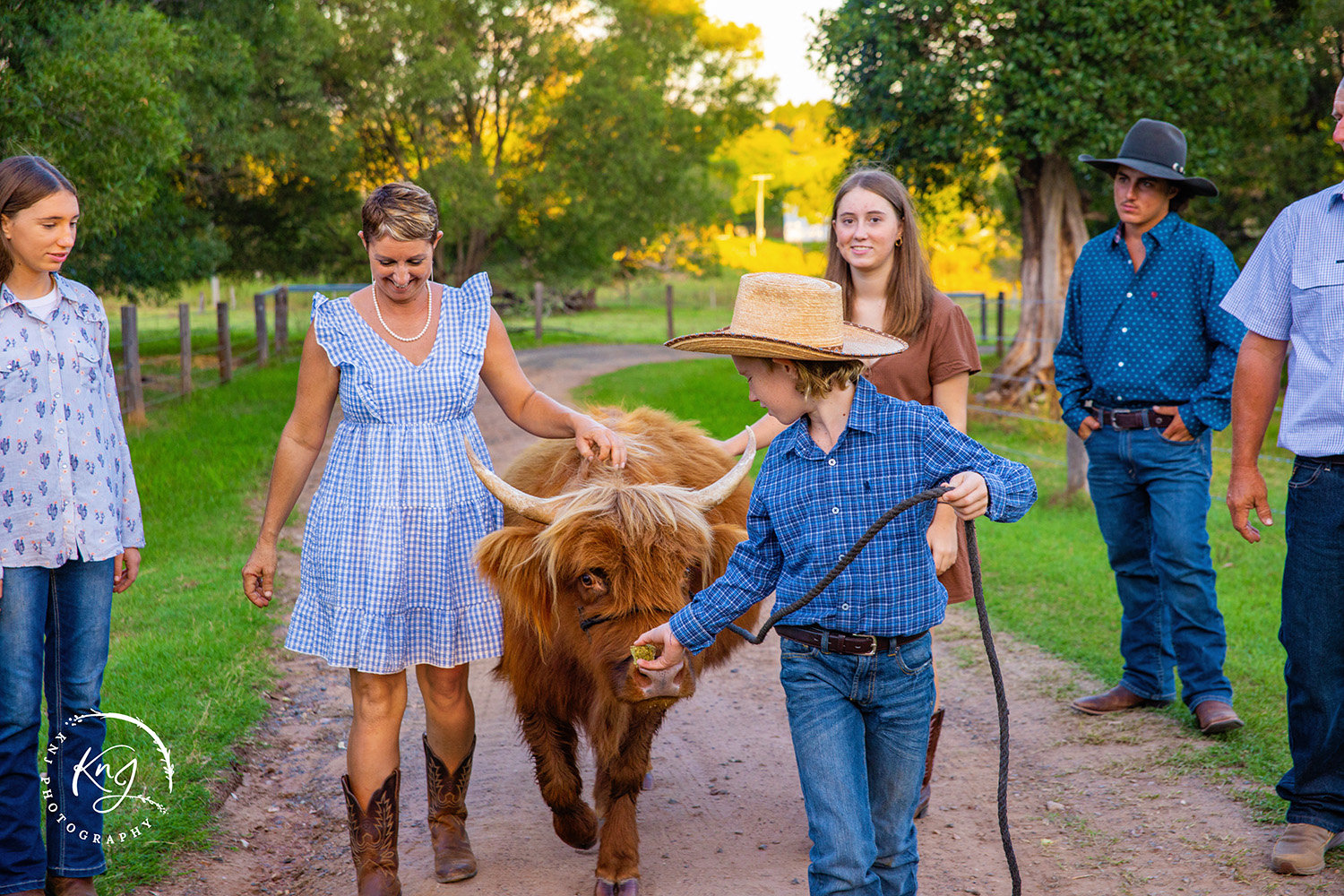 Highland Cow Photography & Encounters | K n J Photography