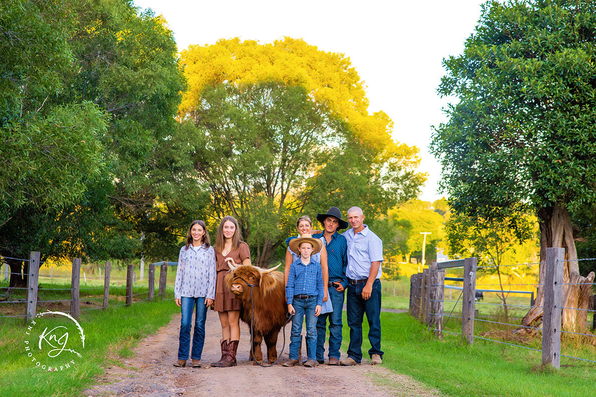Highland Cow Photography & Encounters | K n J Photography