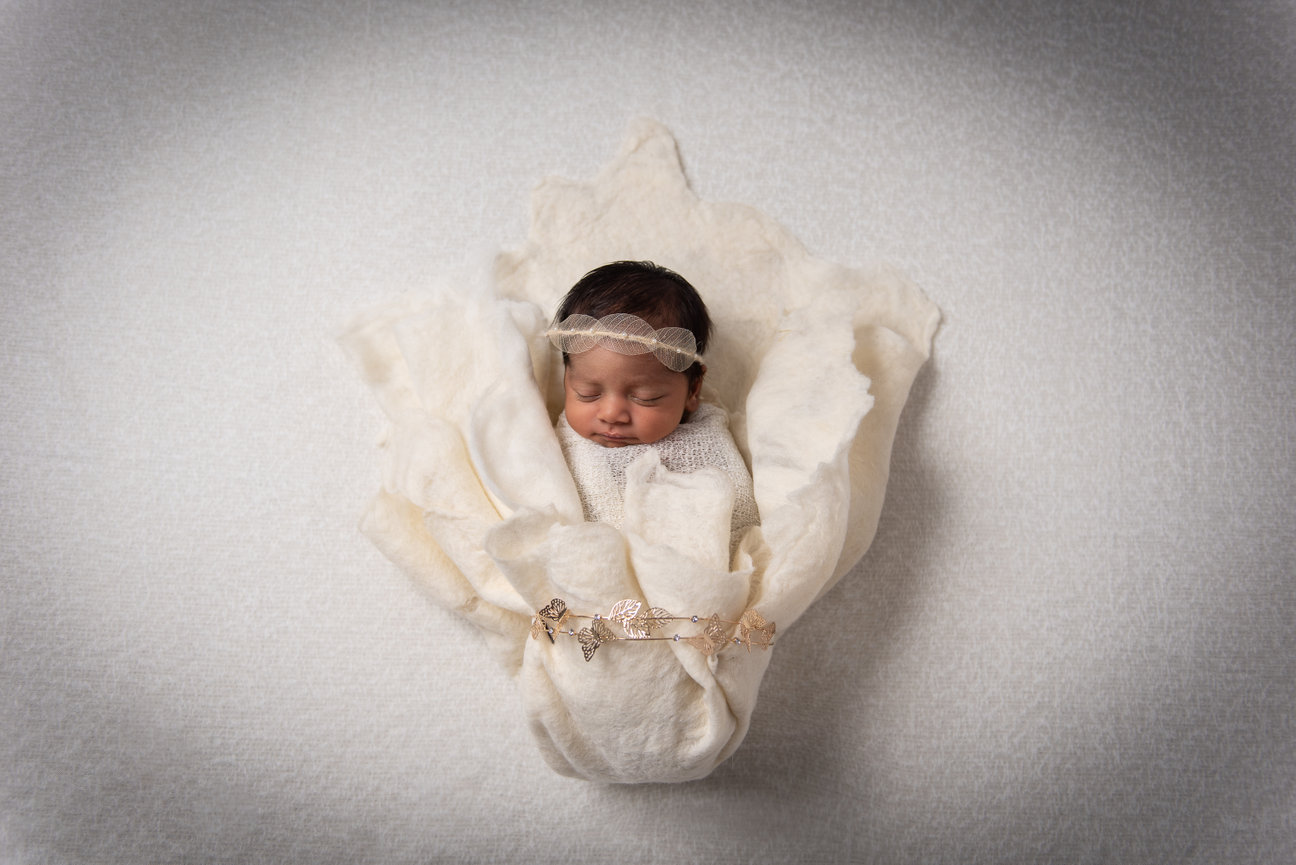 Toronto Newborn Photographer | Jamie Lucas Images