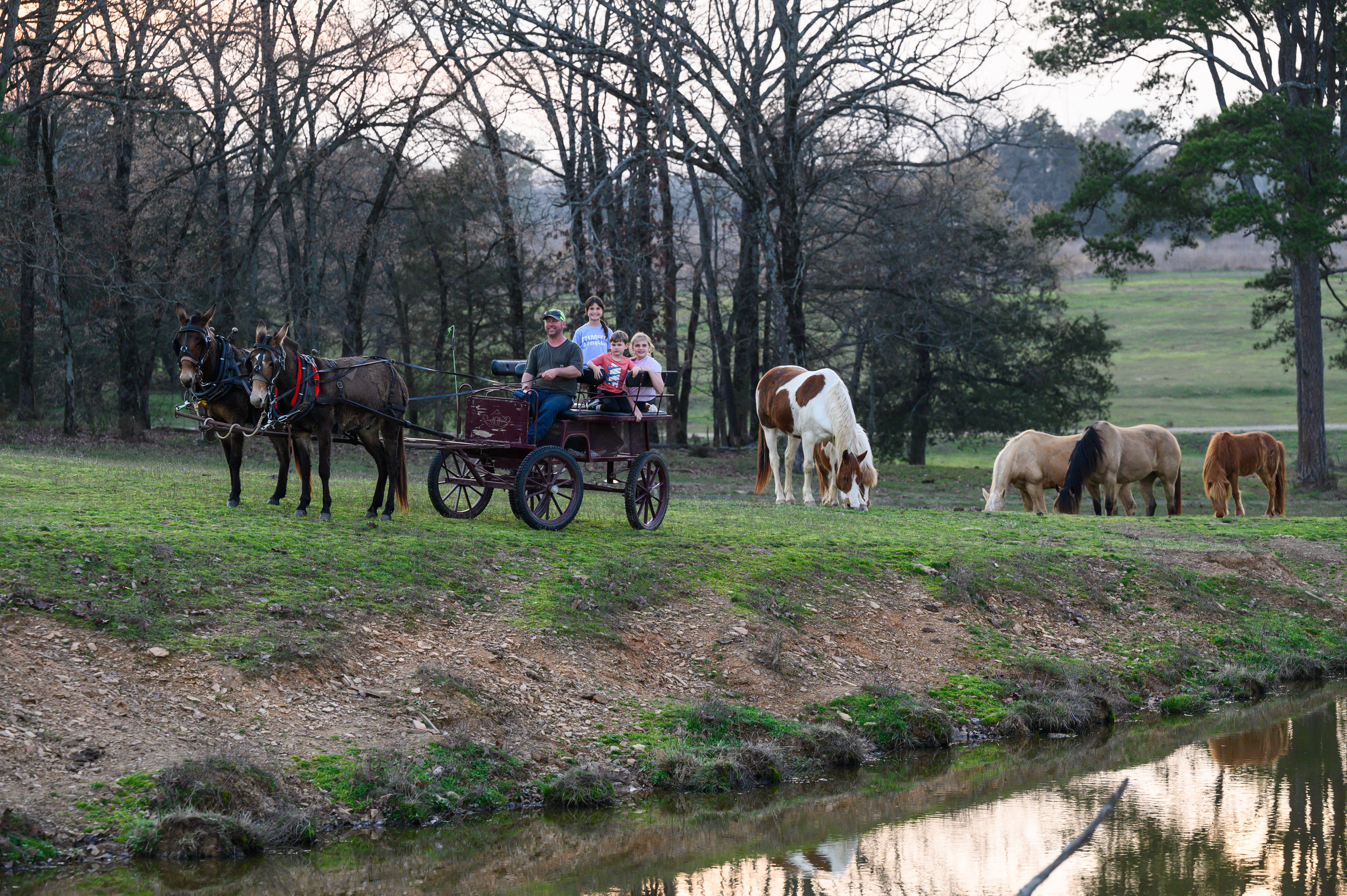 Farm Life - Kimberly McNabb Photography