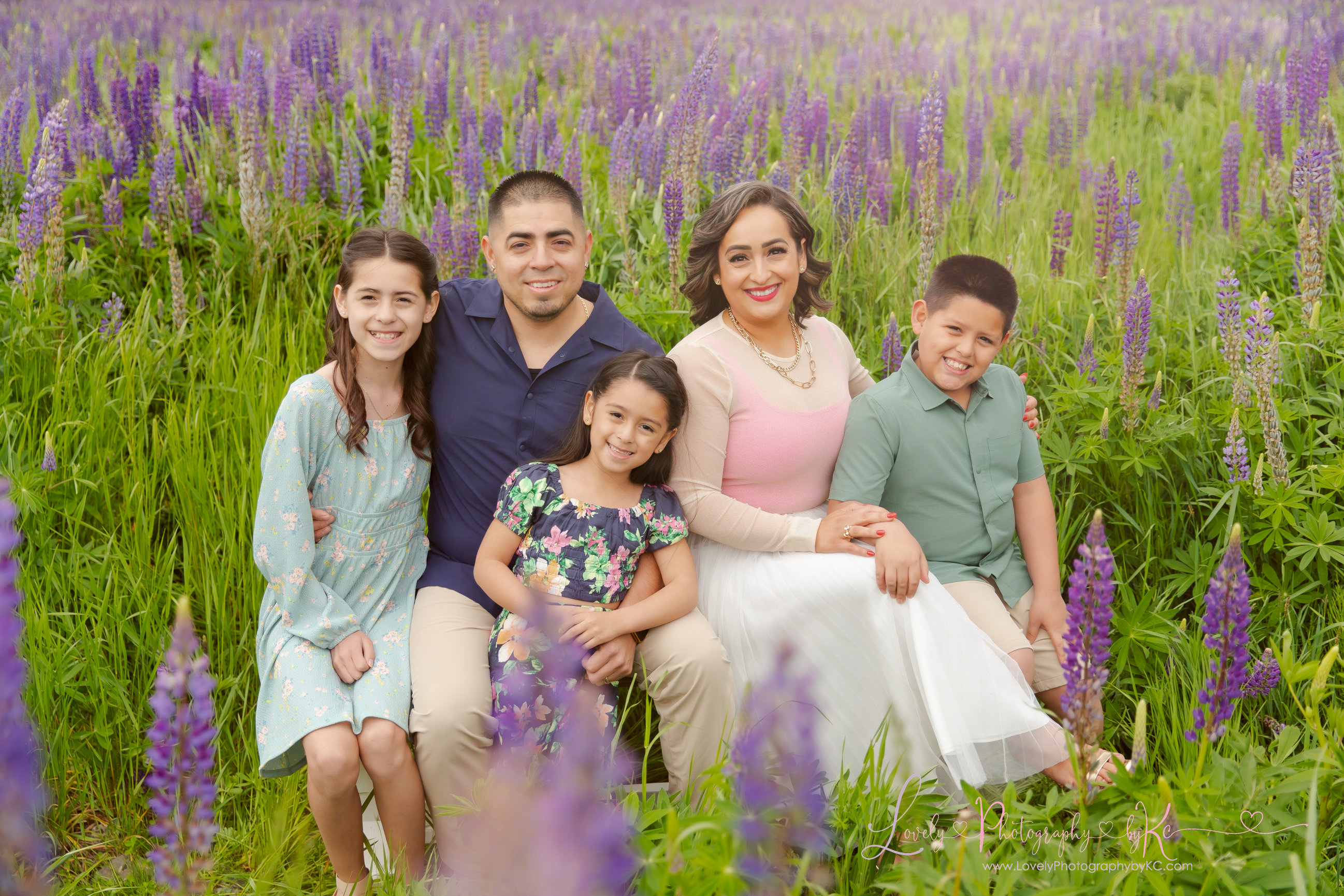 Lupine Field Family Portraits - Tacoma Family Photographer - Lovely ...