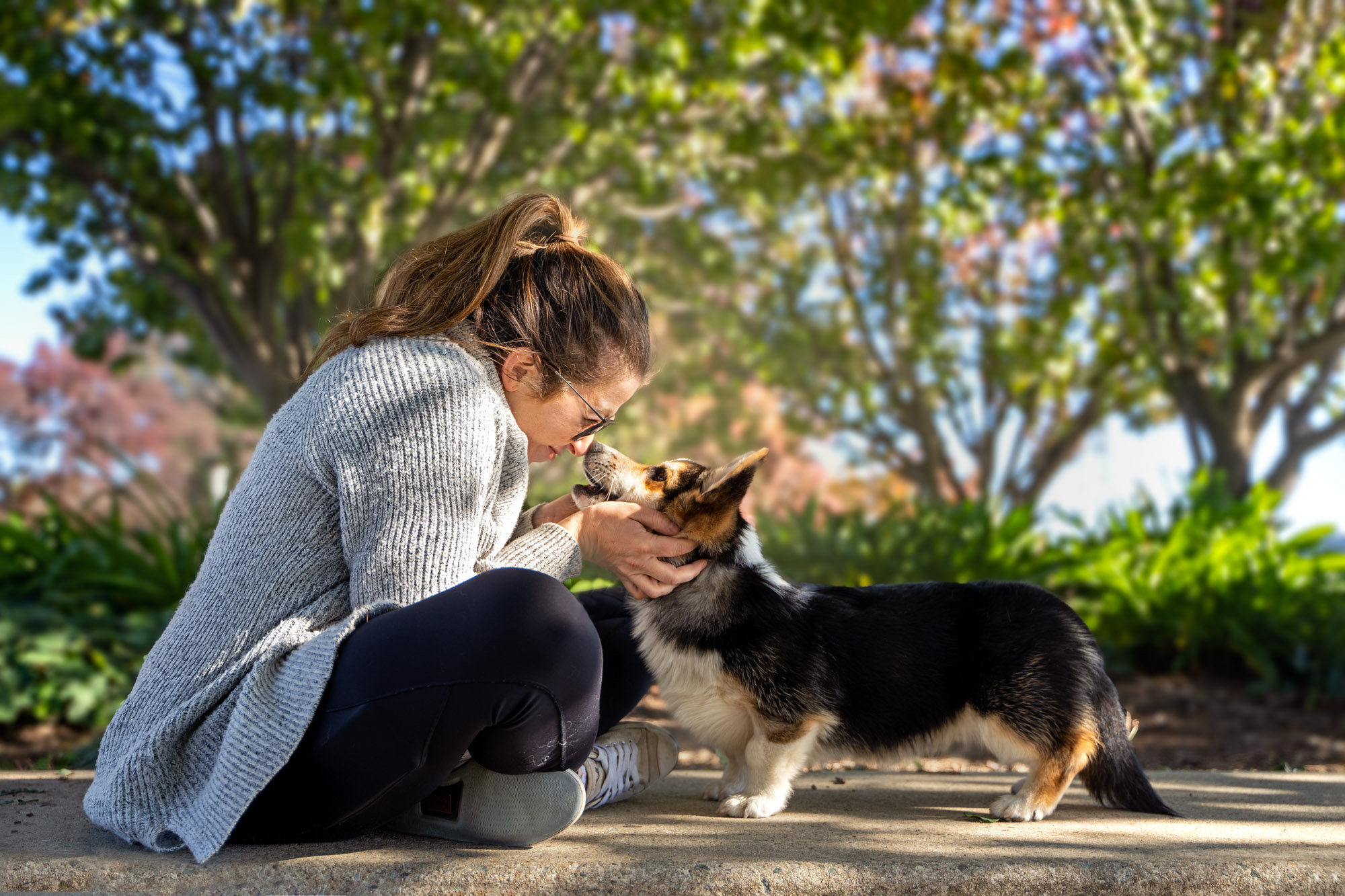 Preparing your pet for their pet photography session