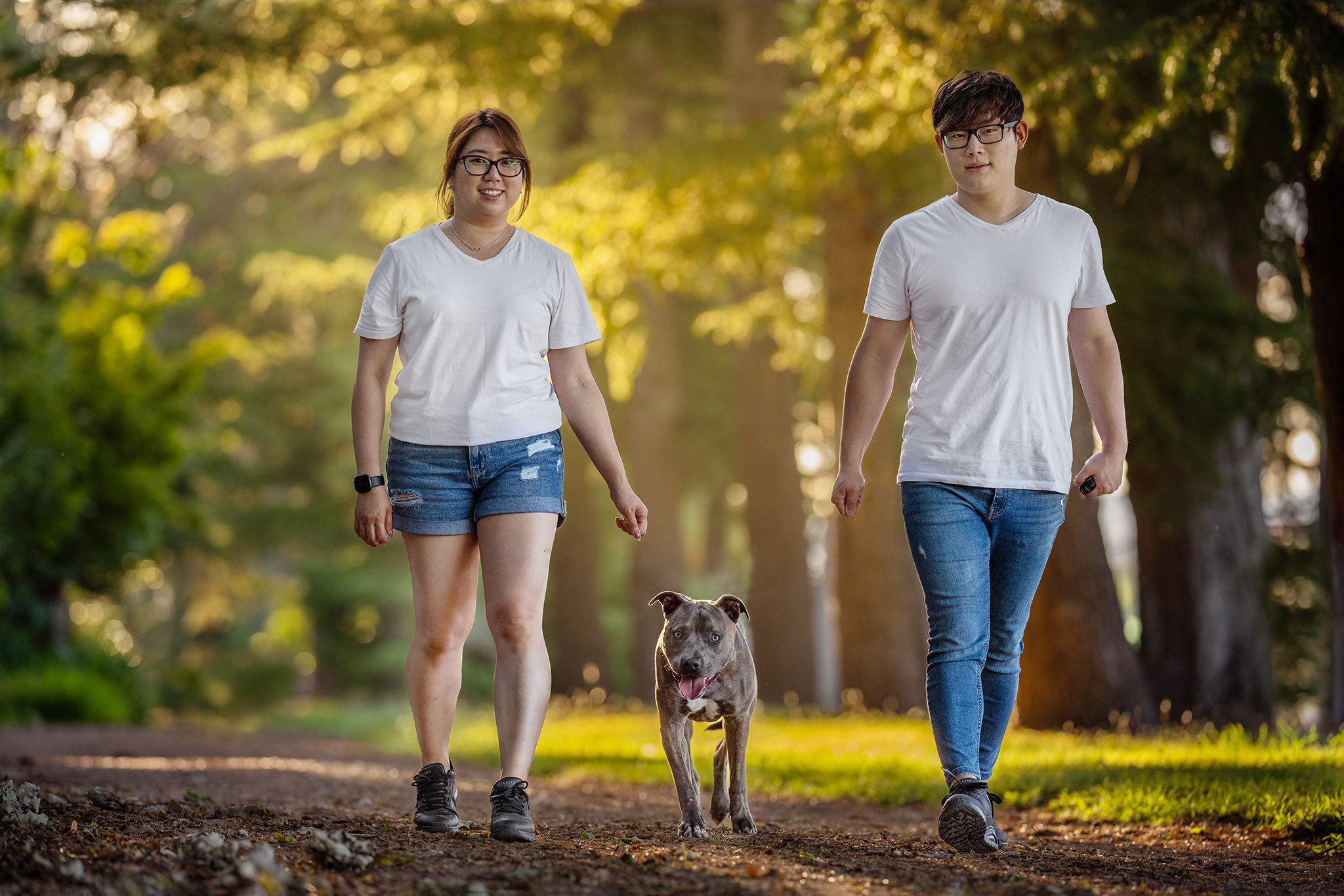 3 Eco-Friendly Ways to Enrich Your Pet's Environment