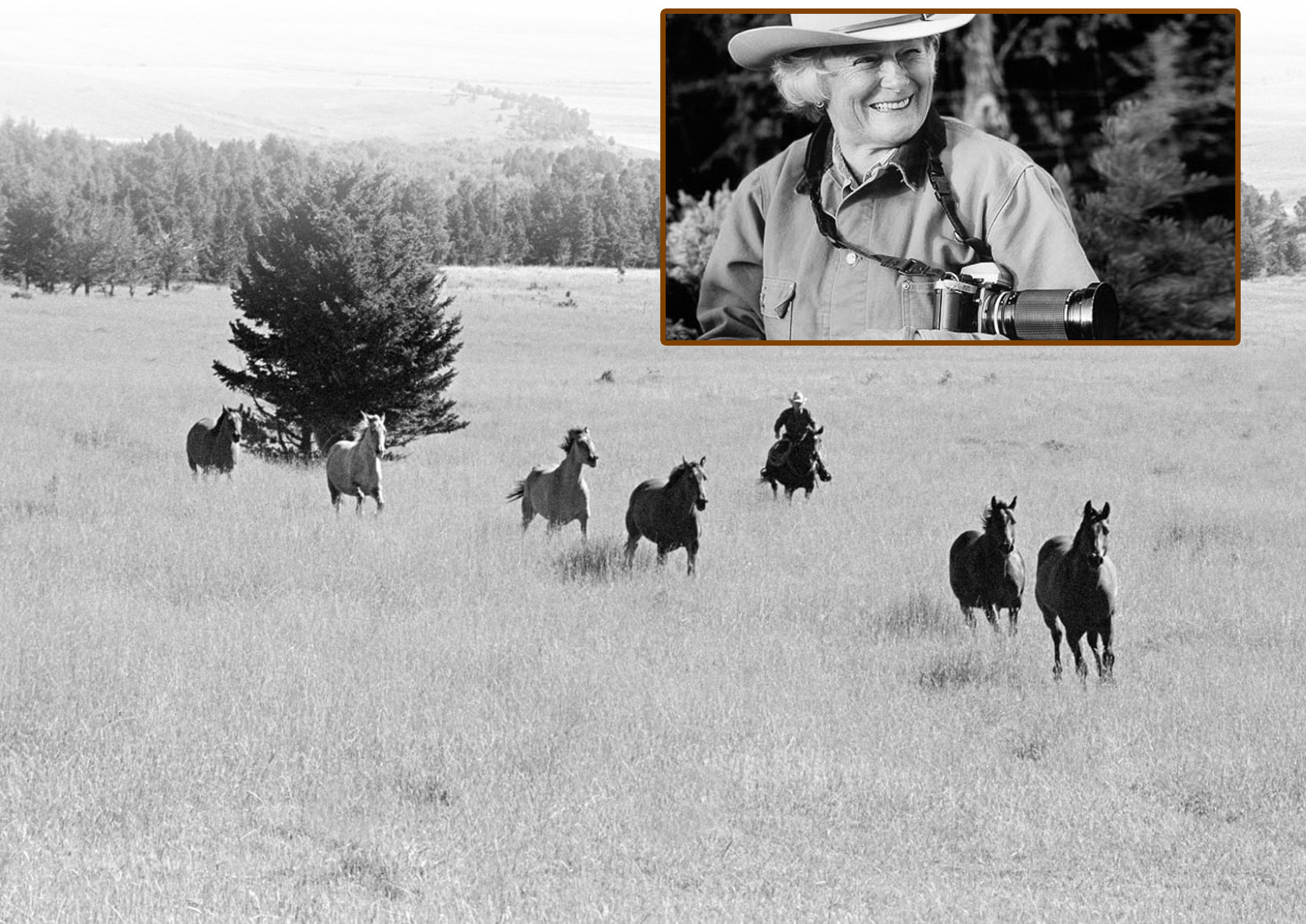 ABOUT - Barbara P Van Cleve