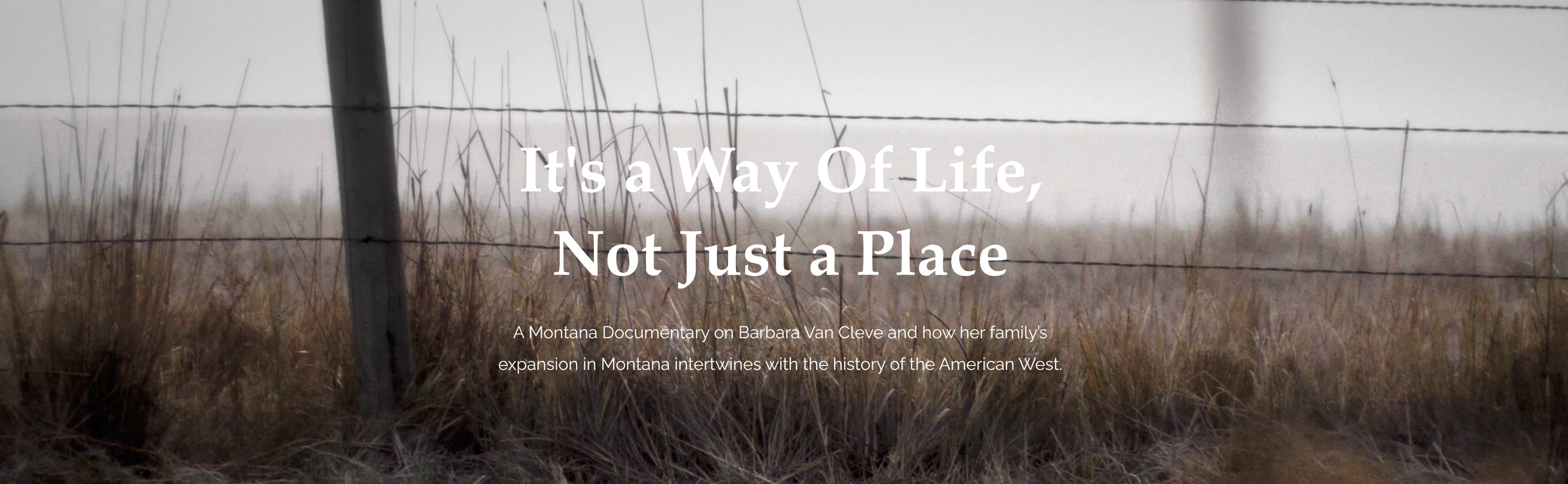 HOME - Barbara P Van Cleve