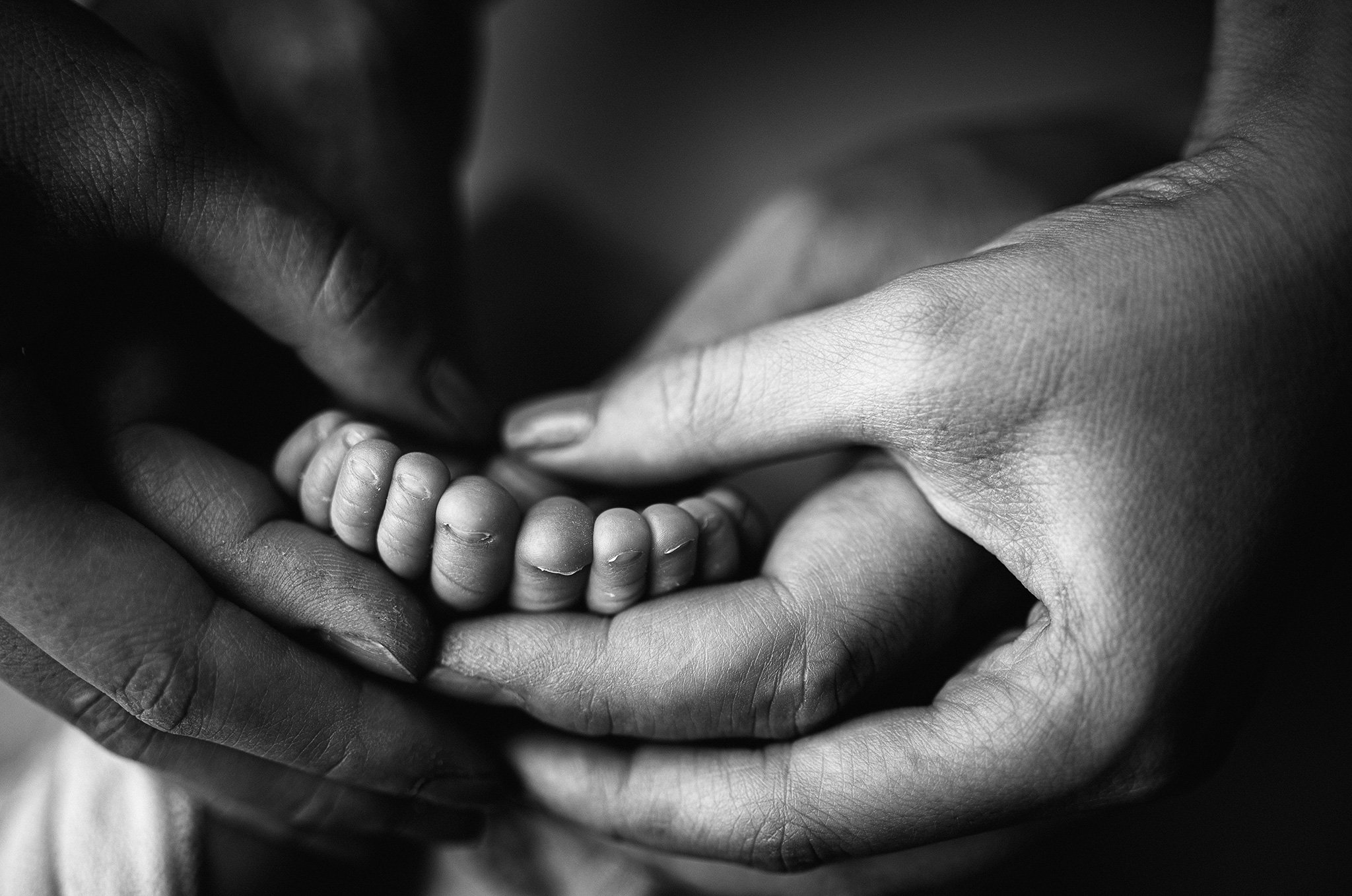 OC Baby Photos by Tania Do