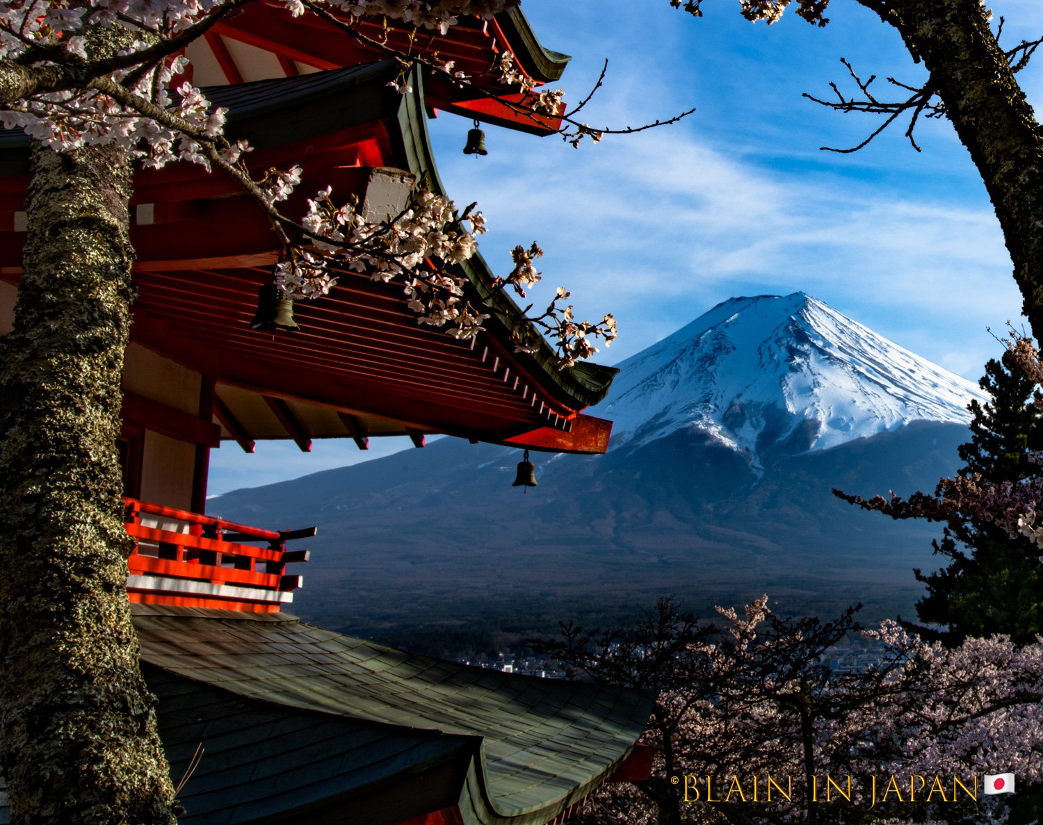 Chasing Cherry Blossoms Tour Japan - JAPAN DREAMSCAPES