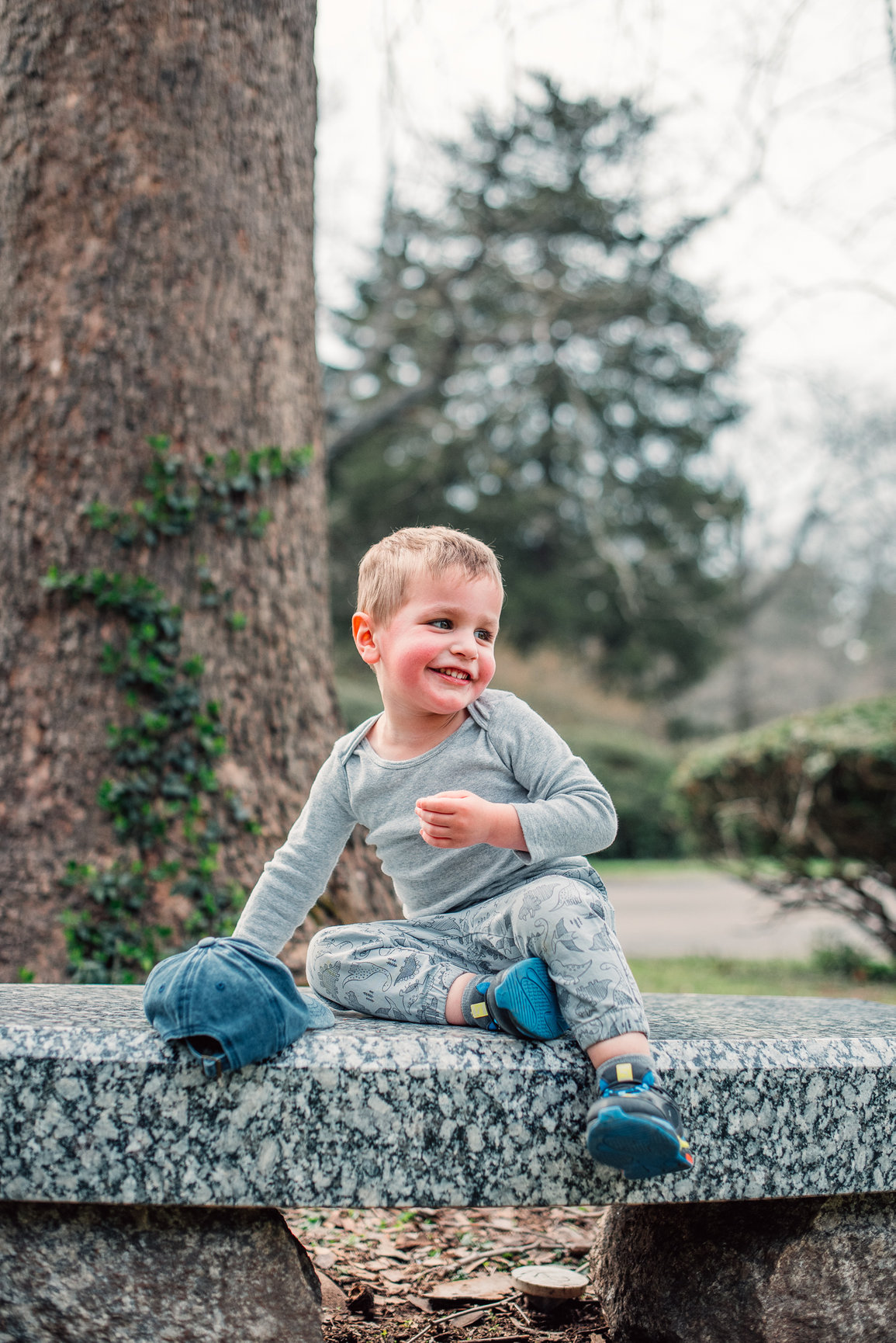 ABOUT - Hedges Photography
