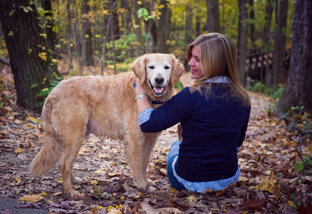 Dog Photography Columbus Ohio