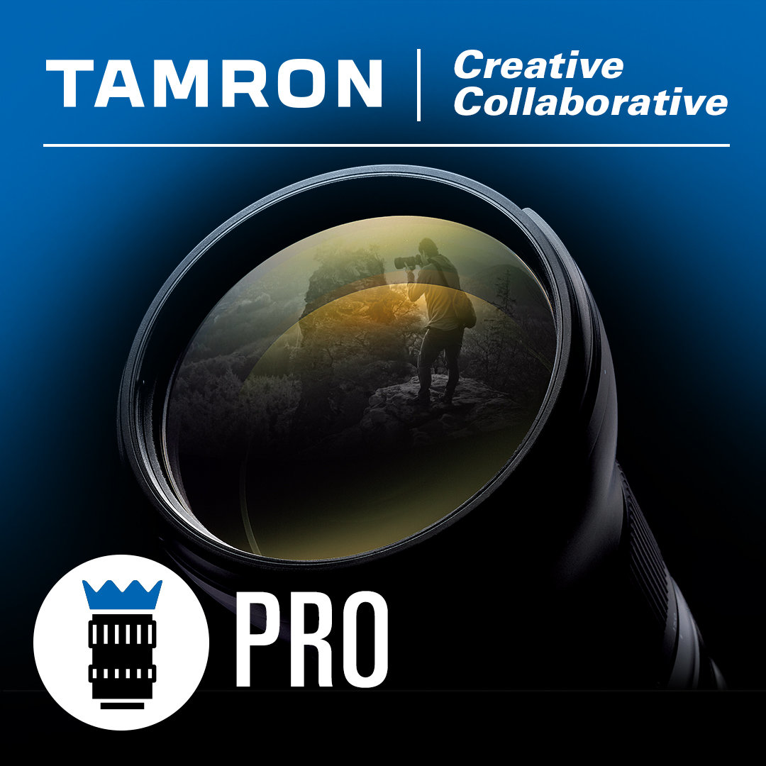 Mike Moats | Award Winning Macro Photographer | Sterling, MI