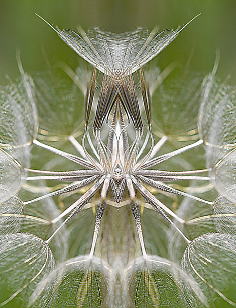 WORKSHOPS - Mike Moats - Award Winning Macro Photographer