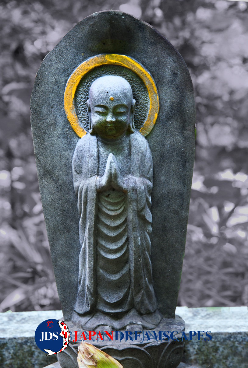 2027 Big City, Snow Monkeys, Onsens JPN Photo Tour - JAPAN DREAMSCAPES